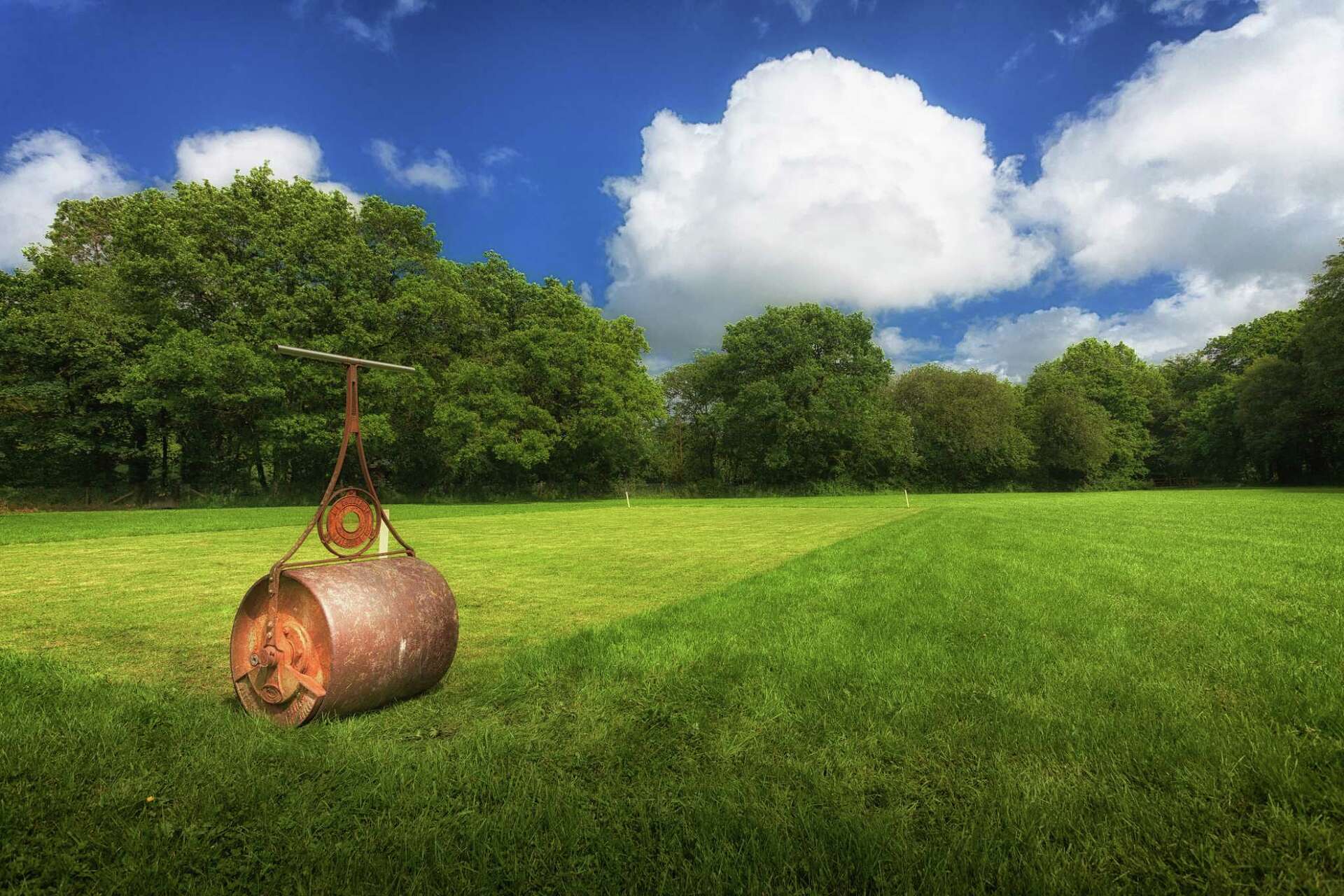 The Benefits of Using a Lawn Roller