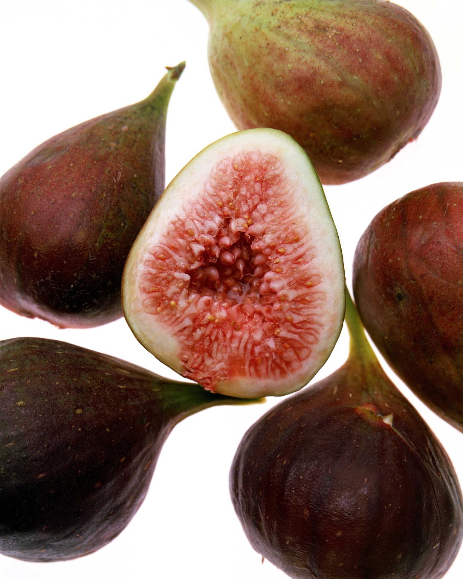 How Long to Fruit a Fig From a Cutting?