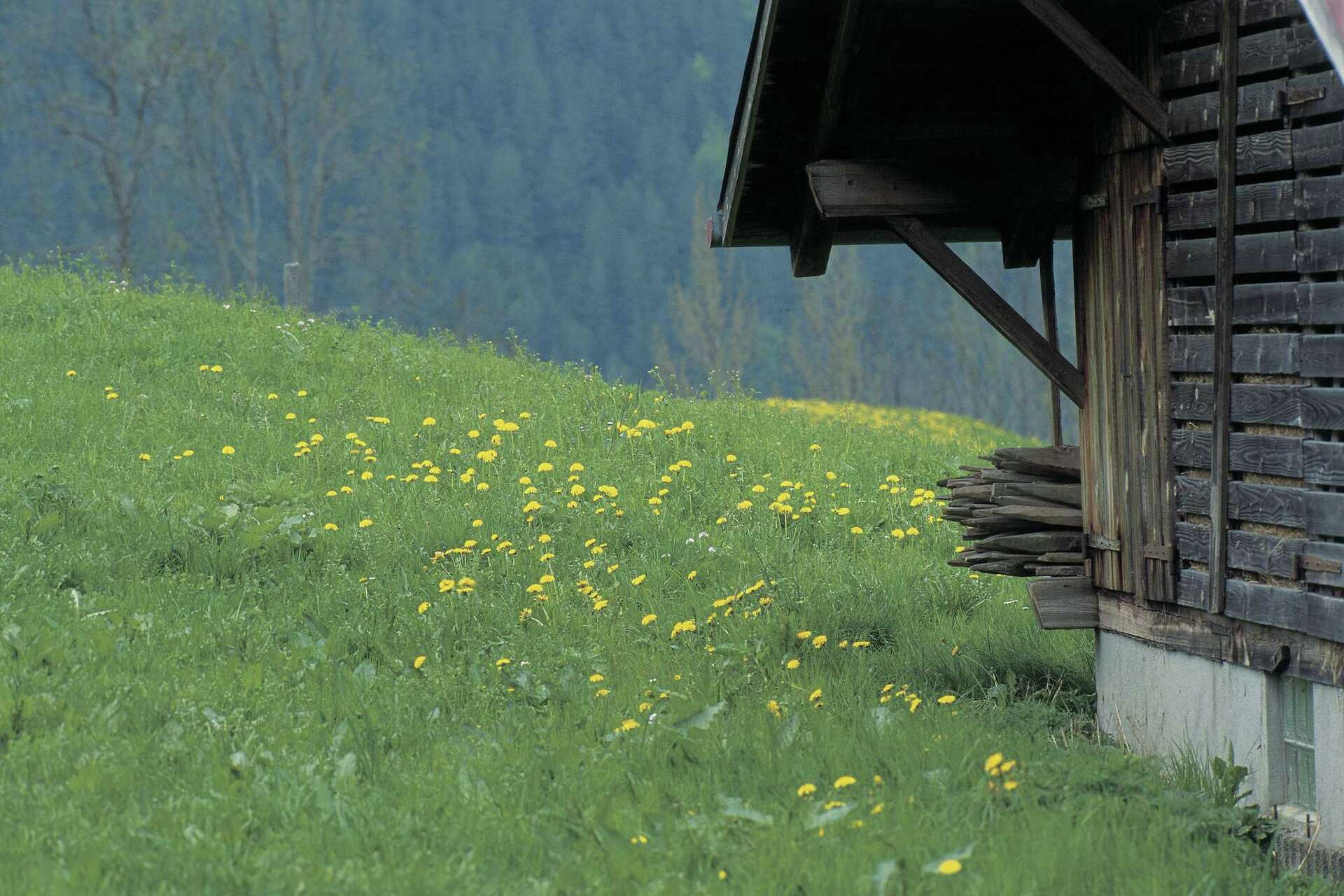 How to Figure Grading in Landscaping