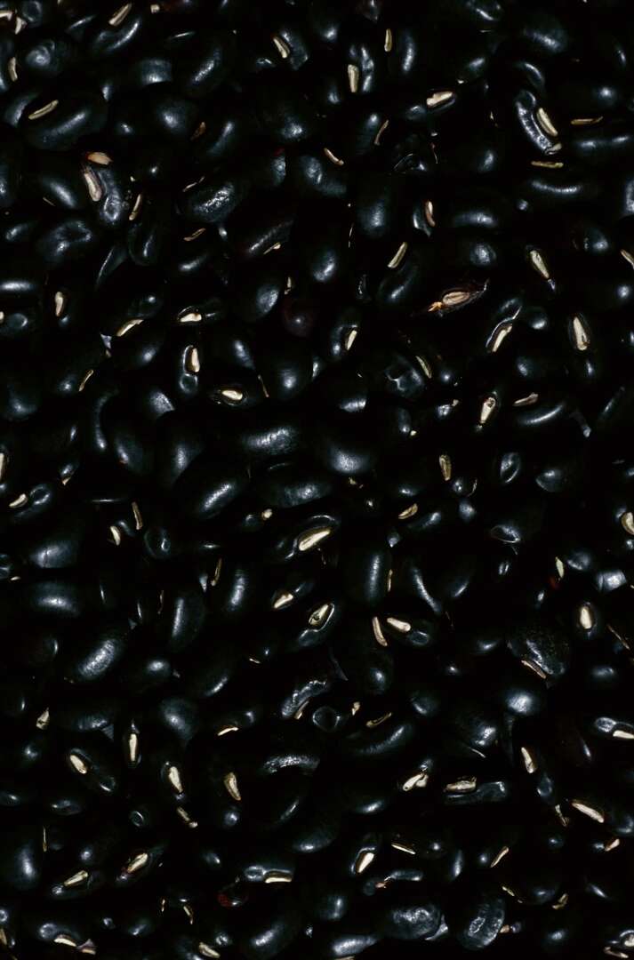 How to Grow Turtle Beans