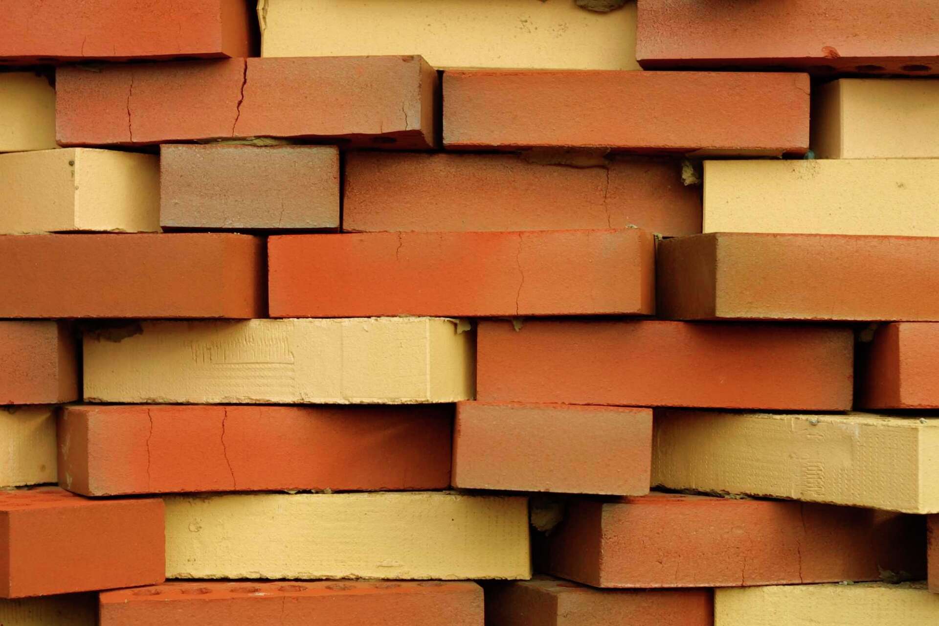 Border Ideas for Trees