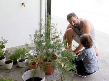 How to Get a Branch to Sprout a Root