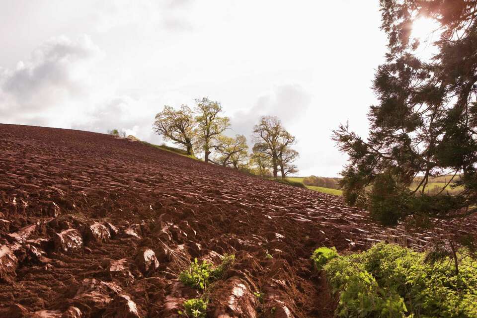 Review of the Poulan Pro Rear Tine Tiller