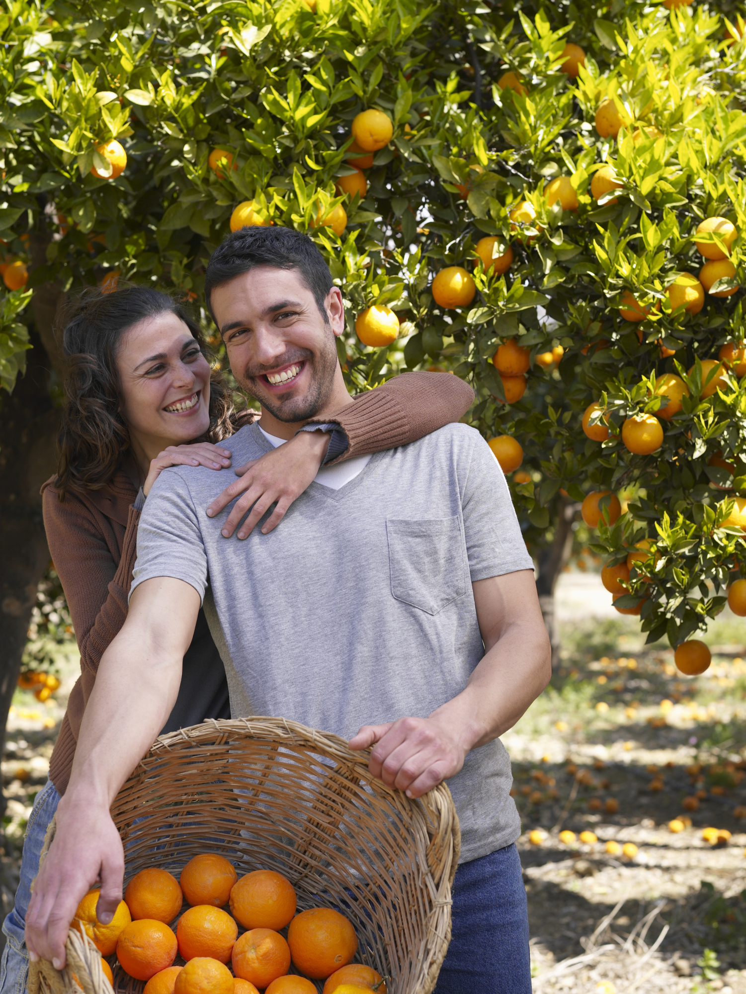 Tools for Picking Oranges from Trees