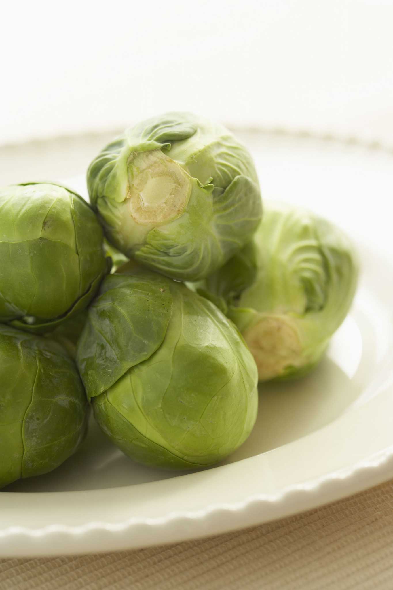 Brussels Sprouts Pests & Diseases