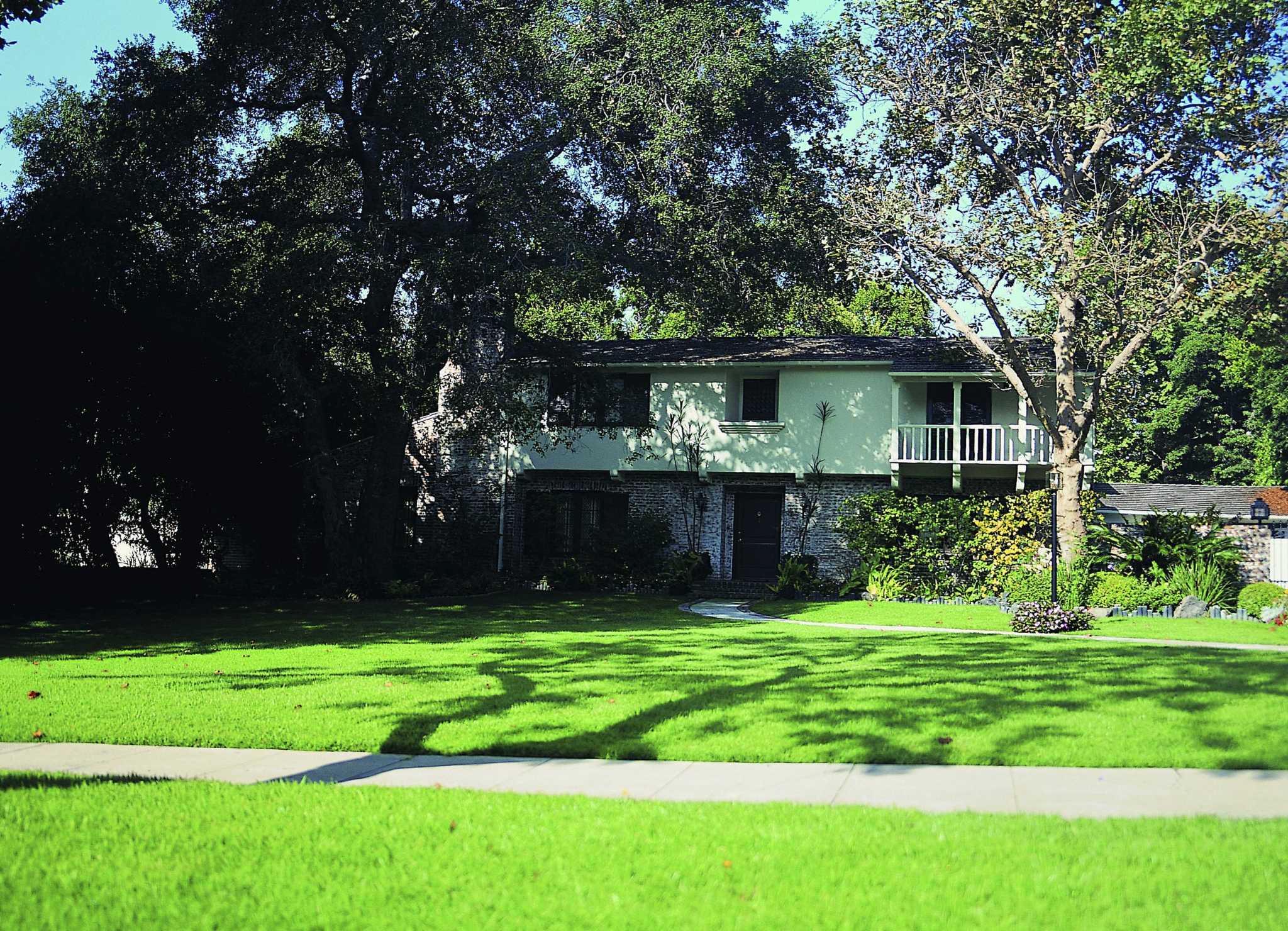 How to Build a Circular Border for a Tree