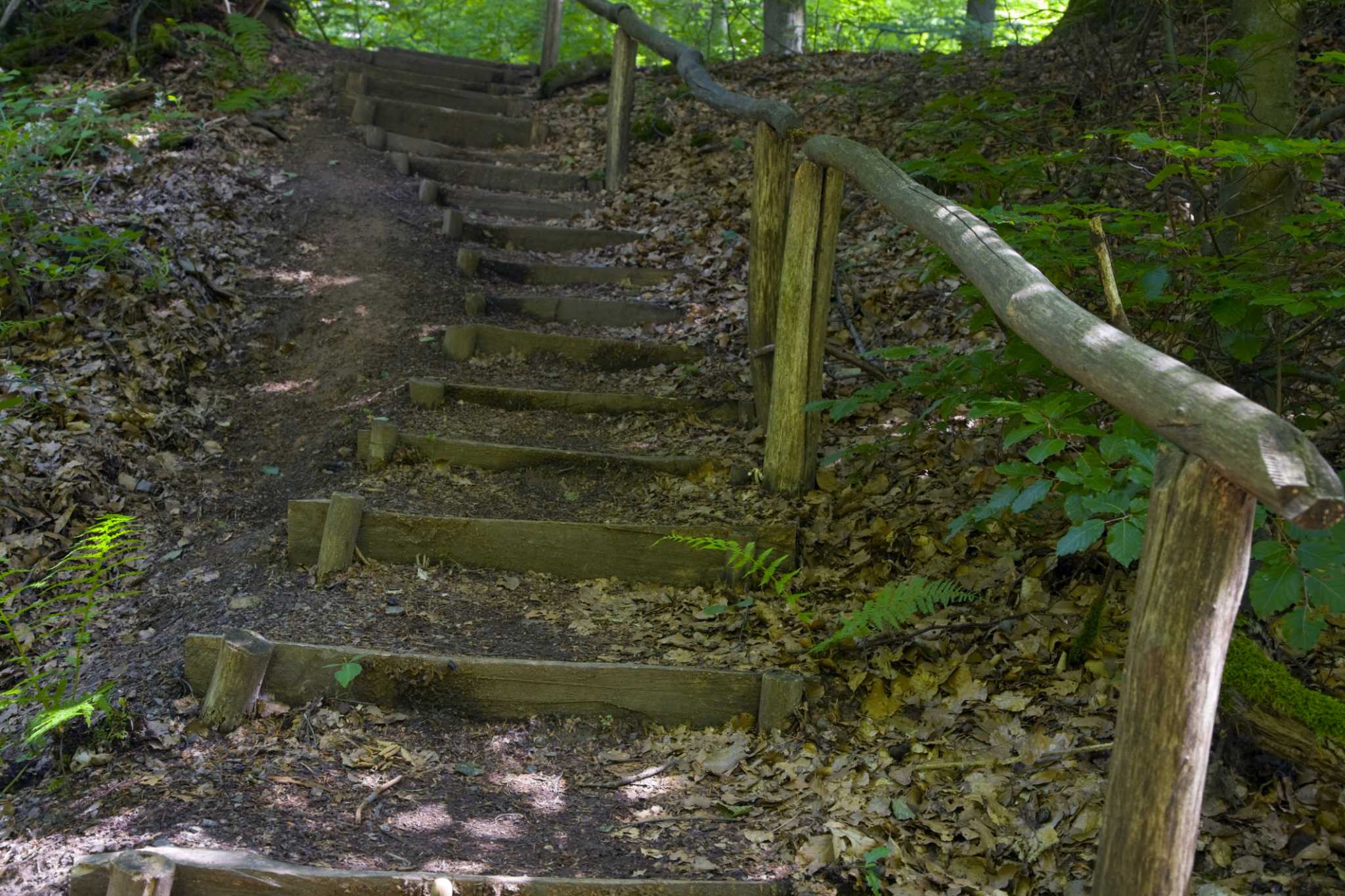 How to Build a Decorative Outdoor Handrail With Tree Branches