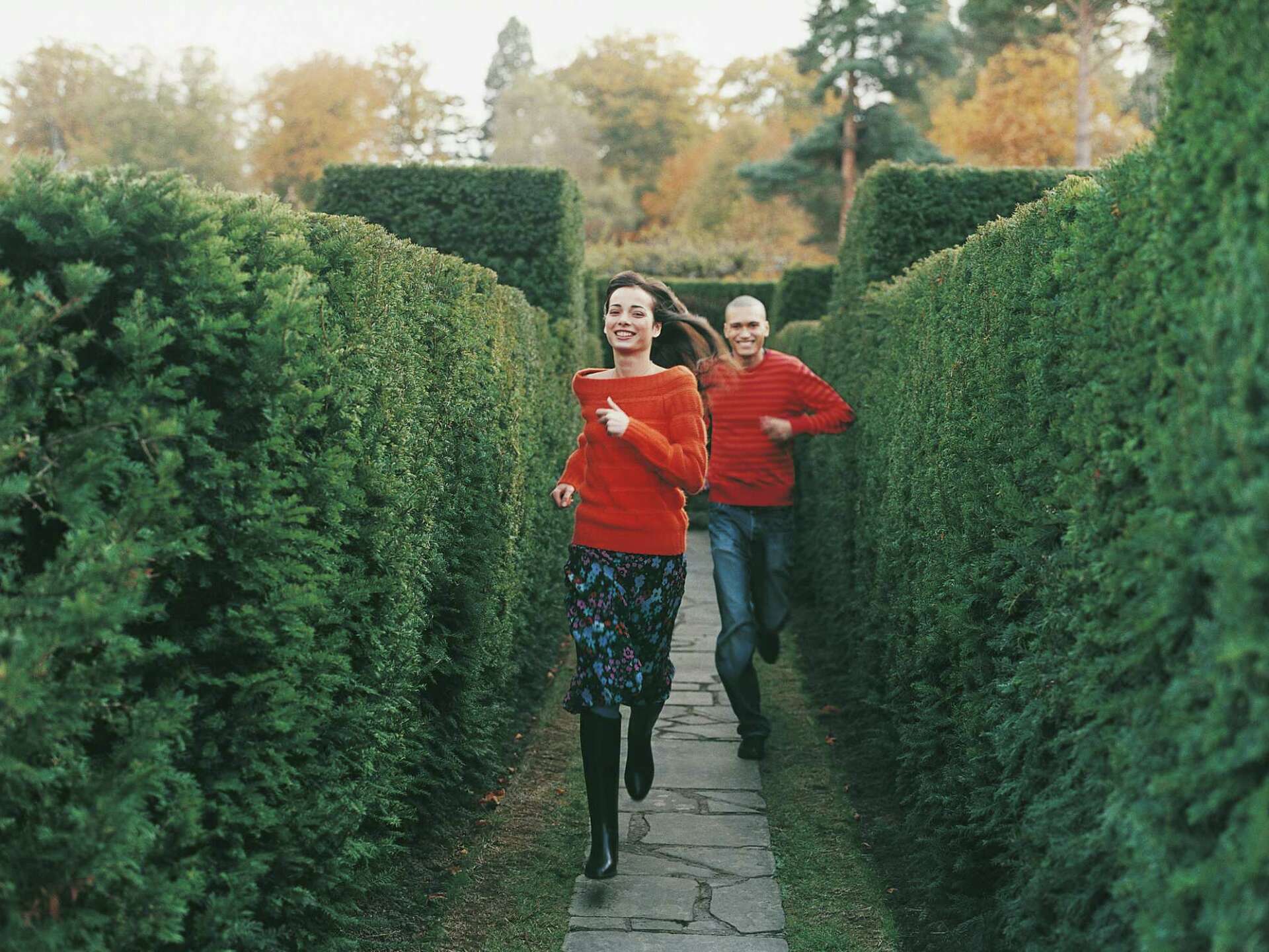 How to Build a Hedge Maze