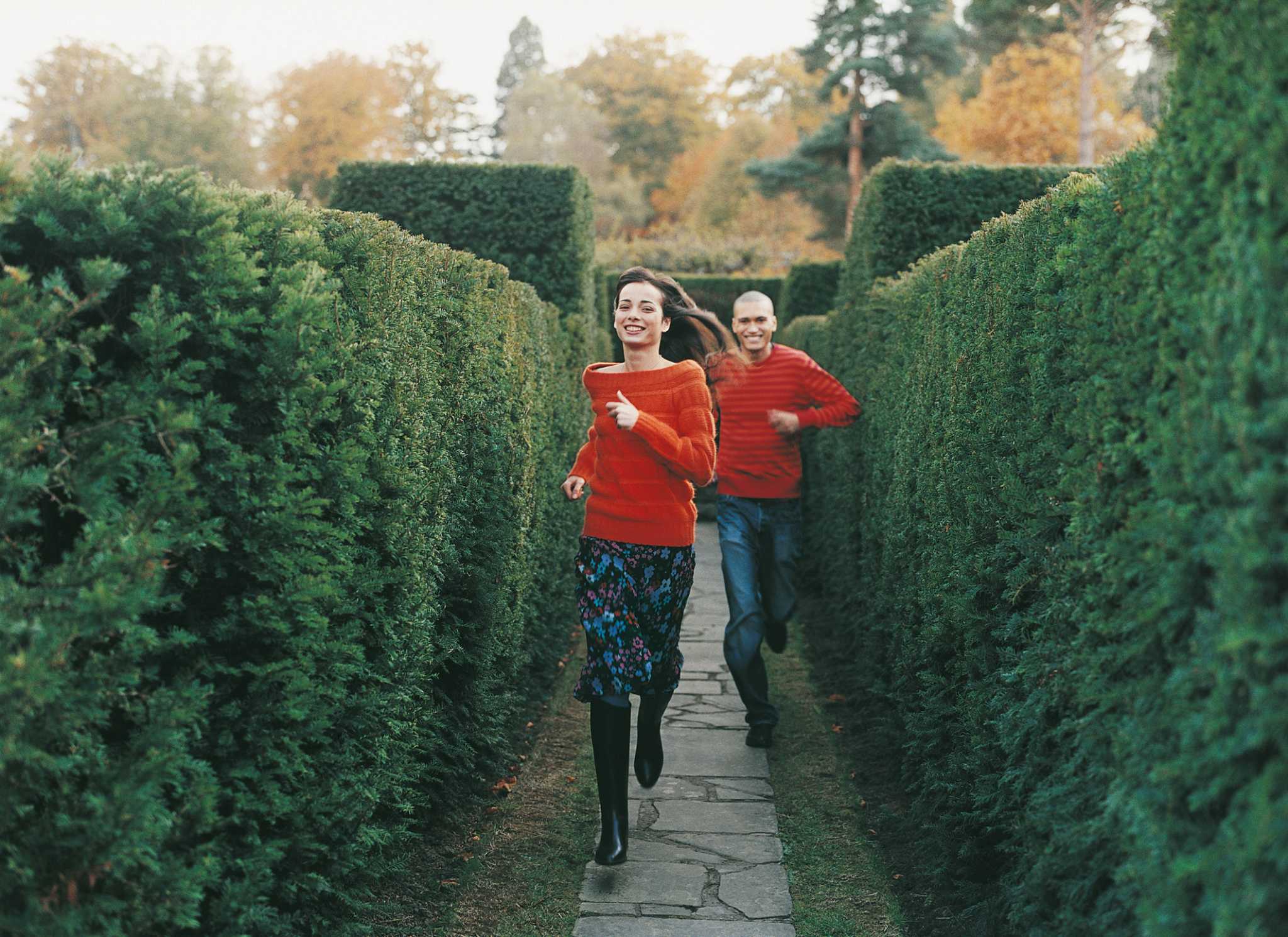 How to Build a Hedge Maze