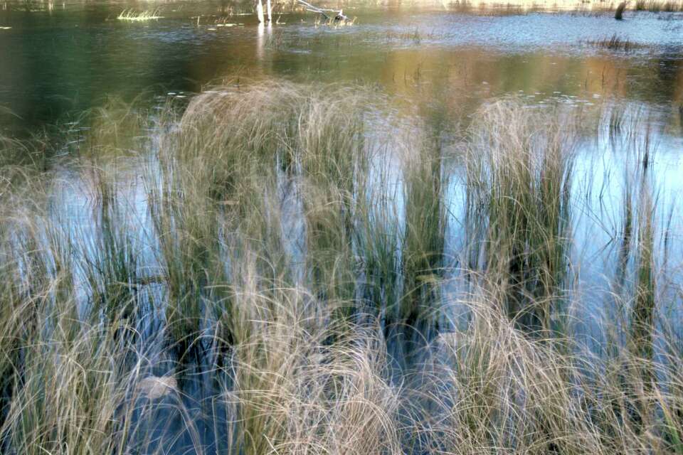 Building Ditches & Ponds
