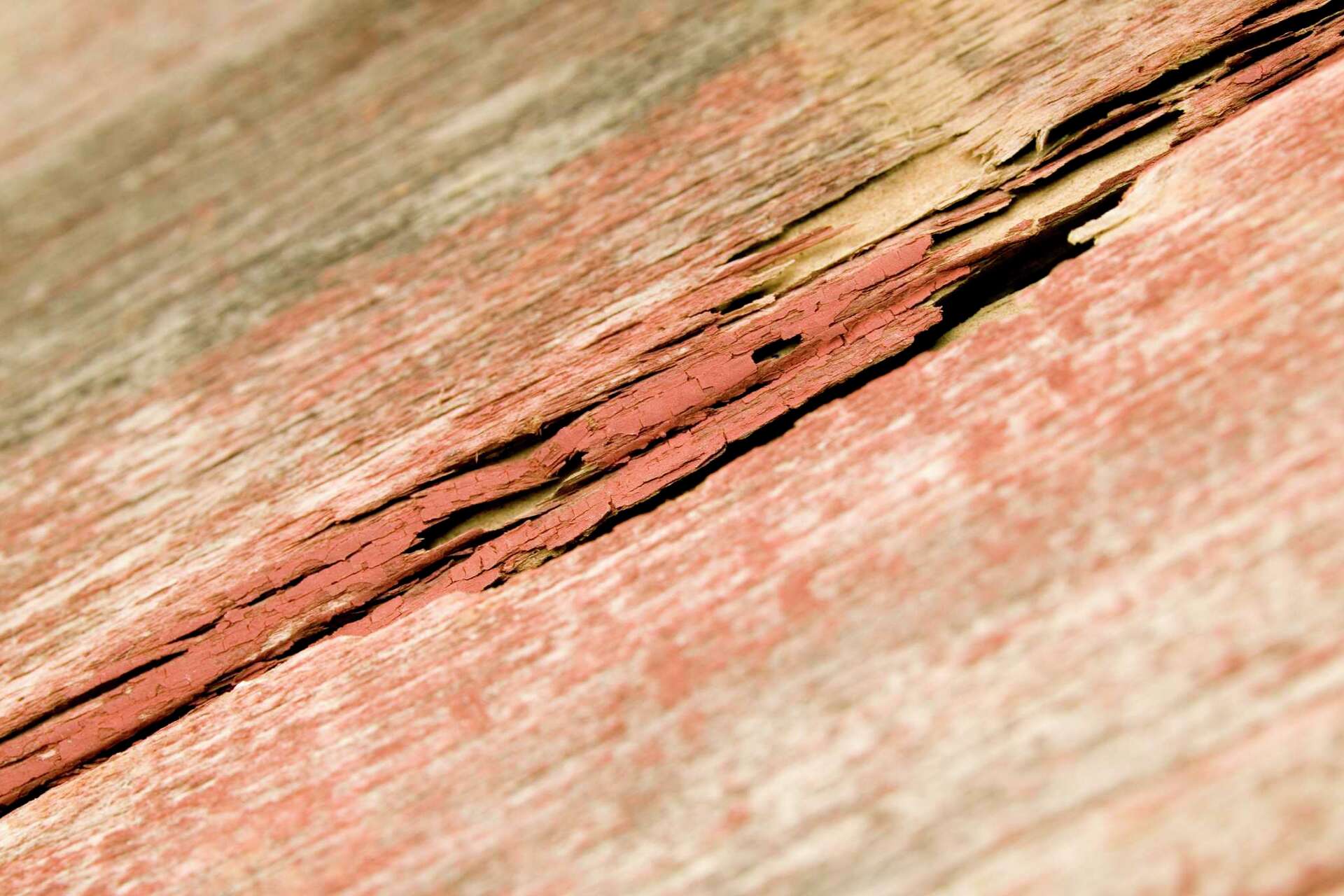 How to Fix a Rotten Floor Around the Toilet