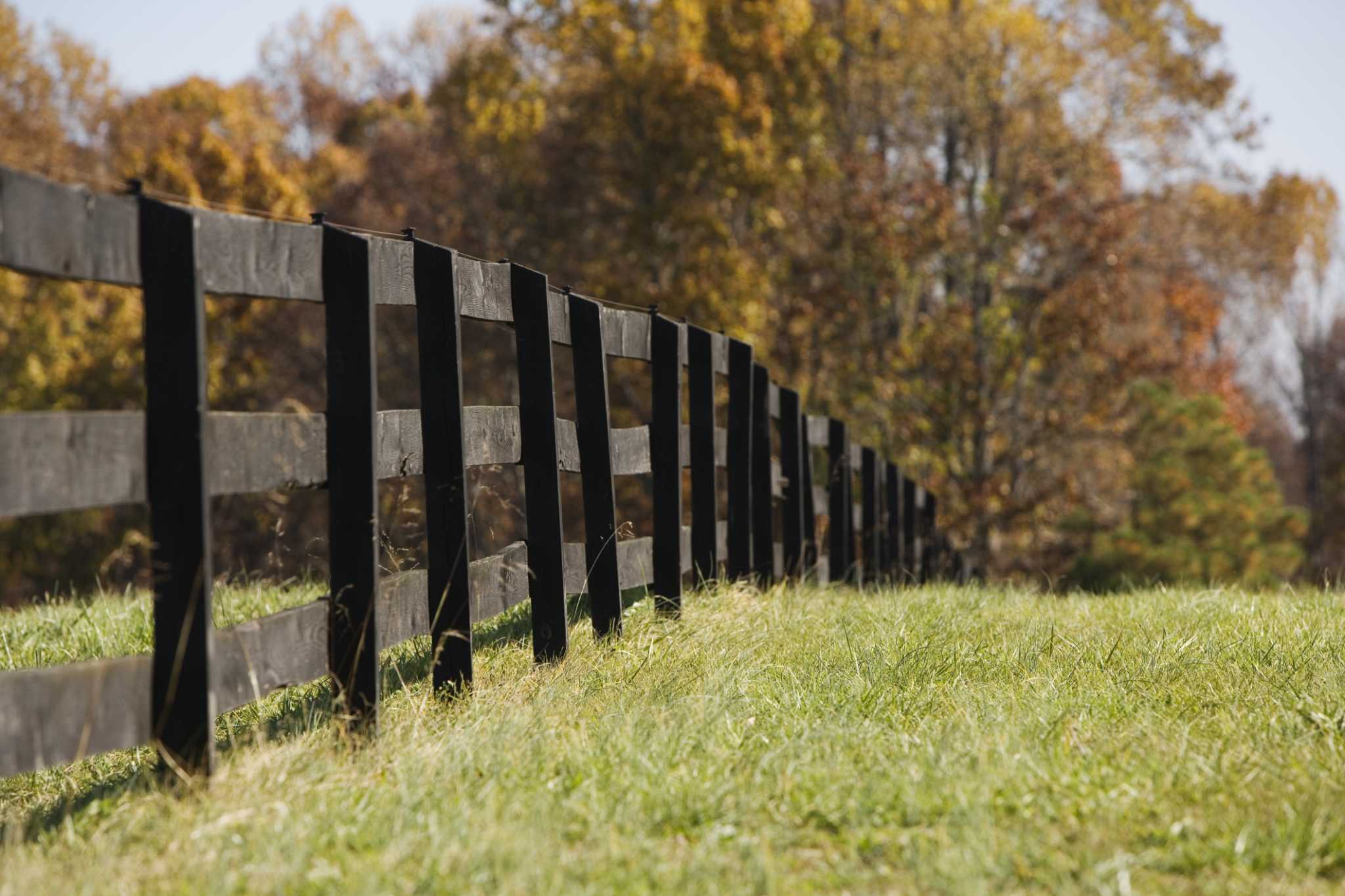 Building Rustic Fences