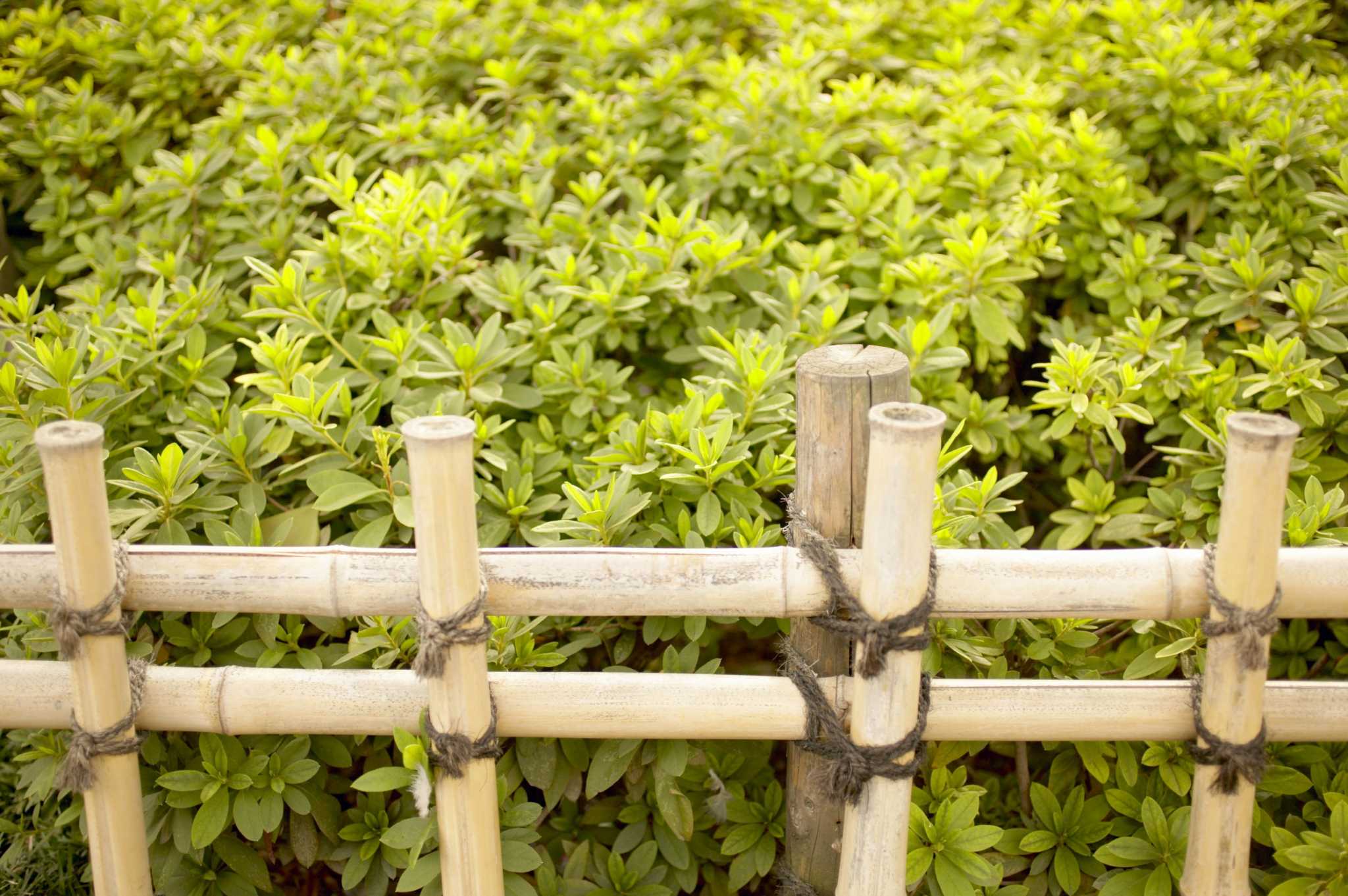 Japanese Fence Ideas