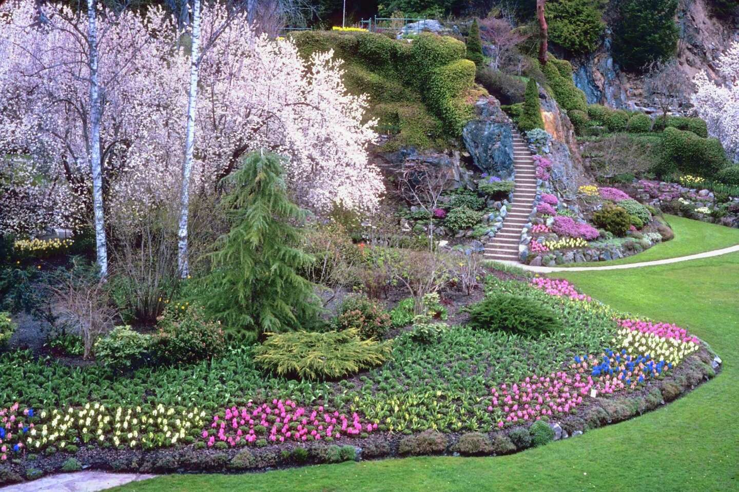 How to Use a Spade for Landscape Edging