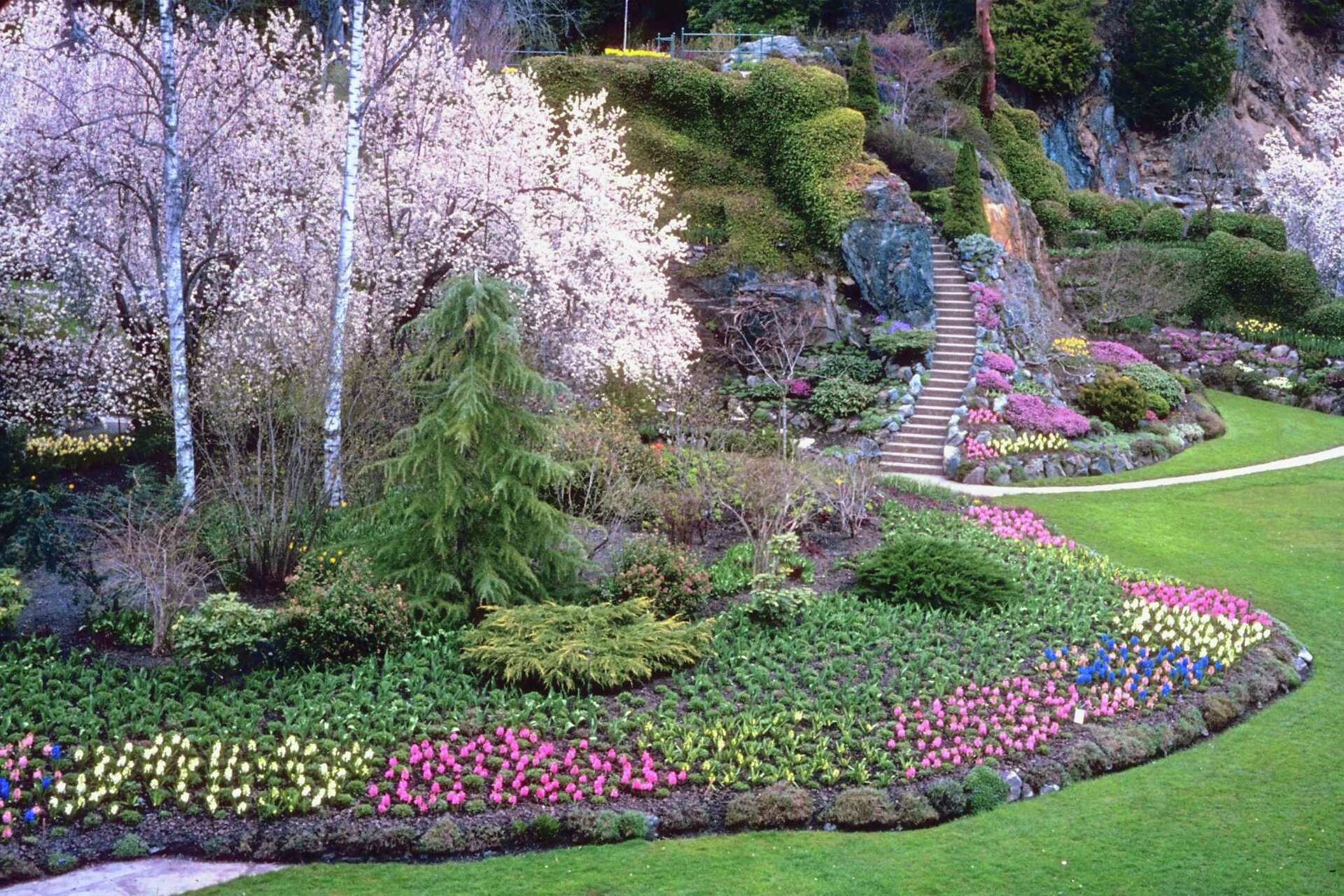 How to Use a Spade for Landscape Edging