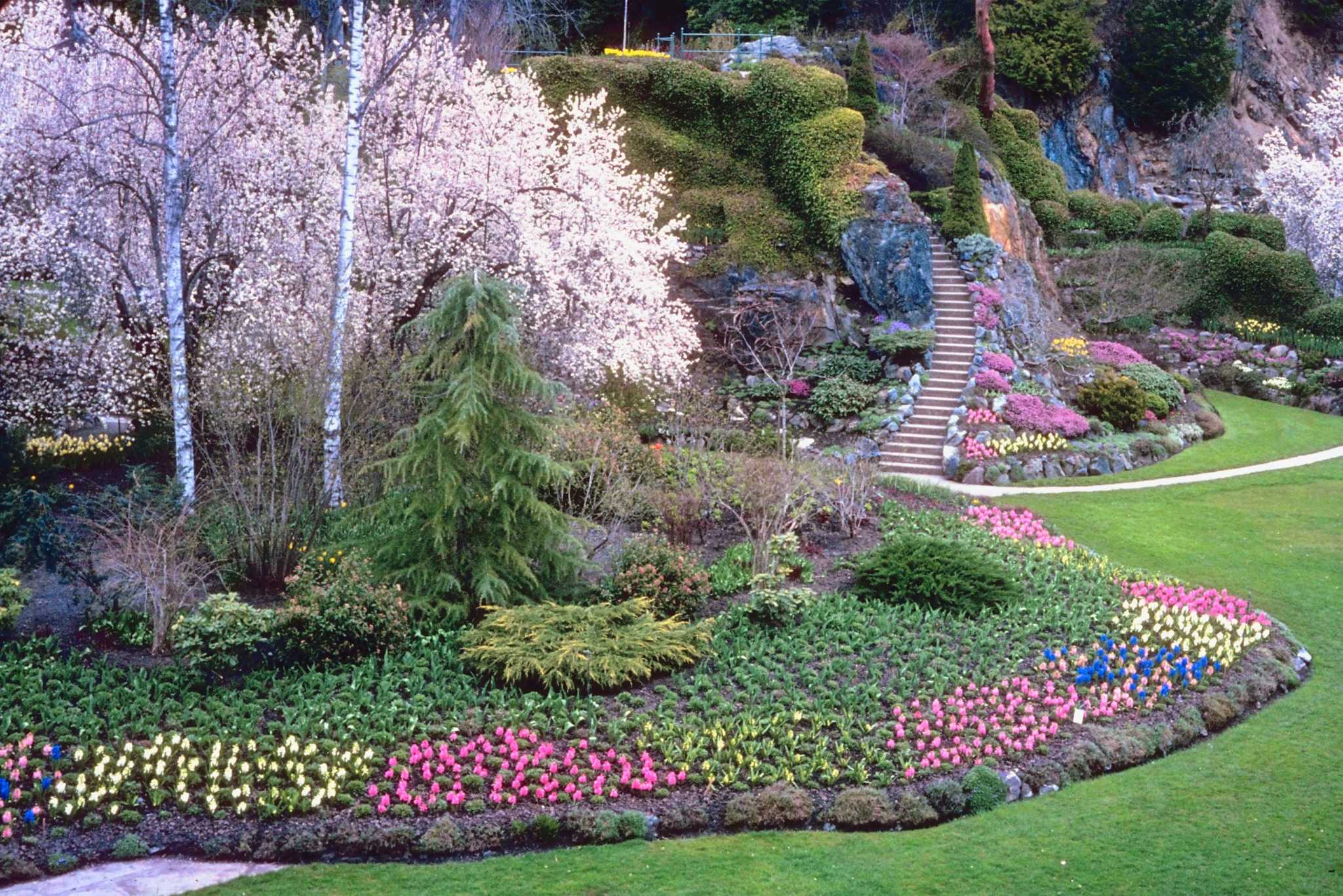 How to Use a Spade for Landscape Edging