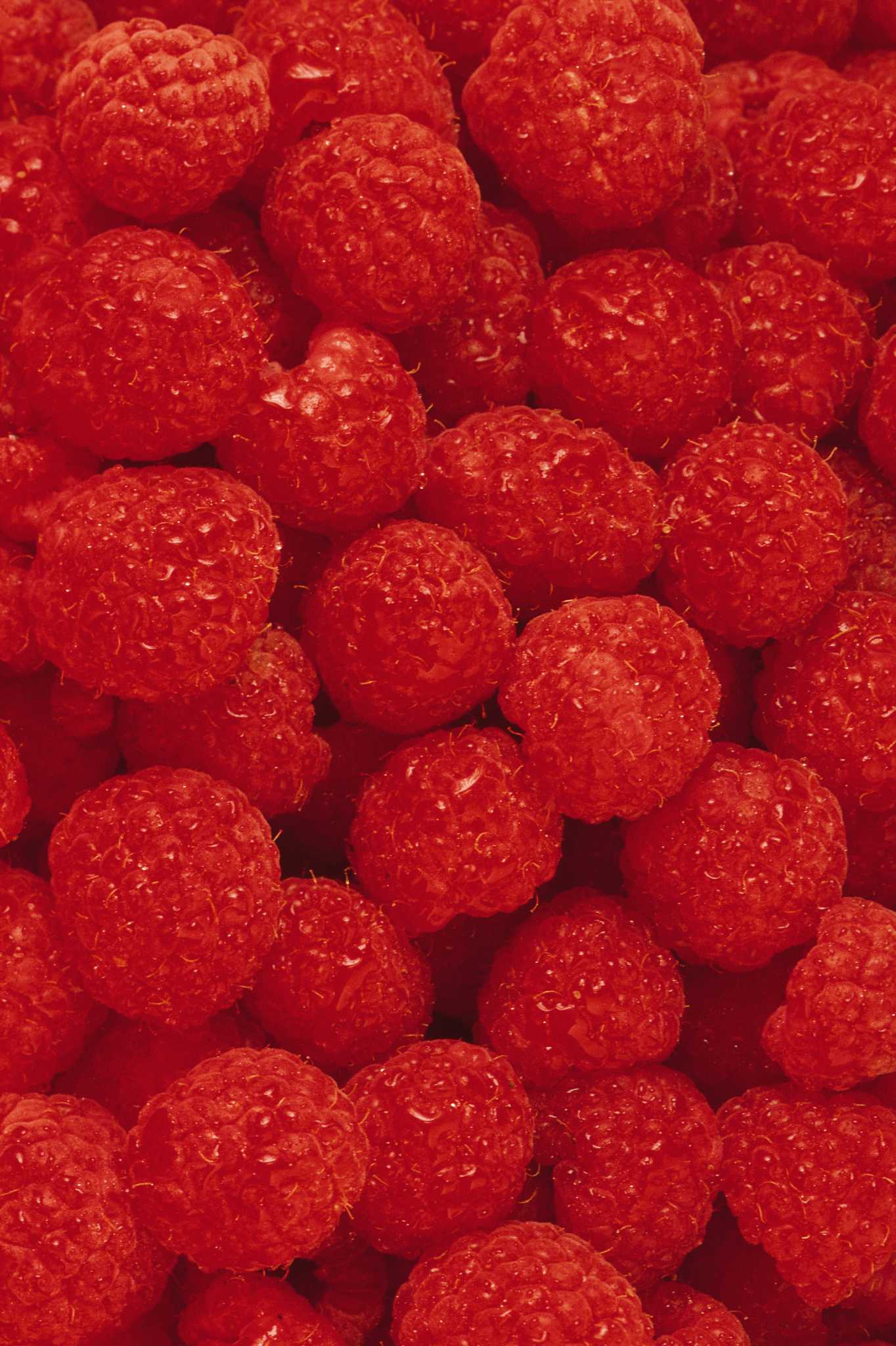 How to Grow Raspberries in a Barrel