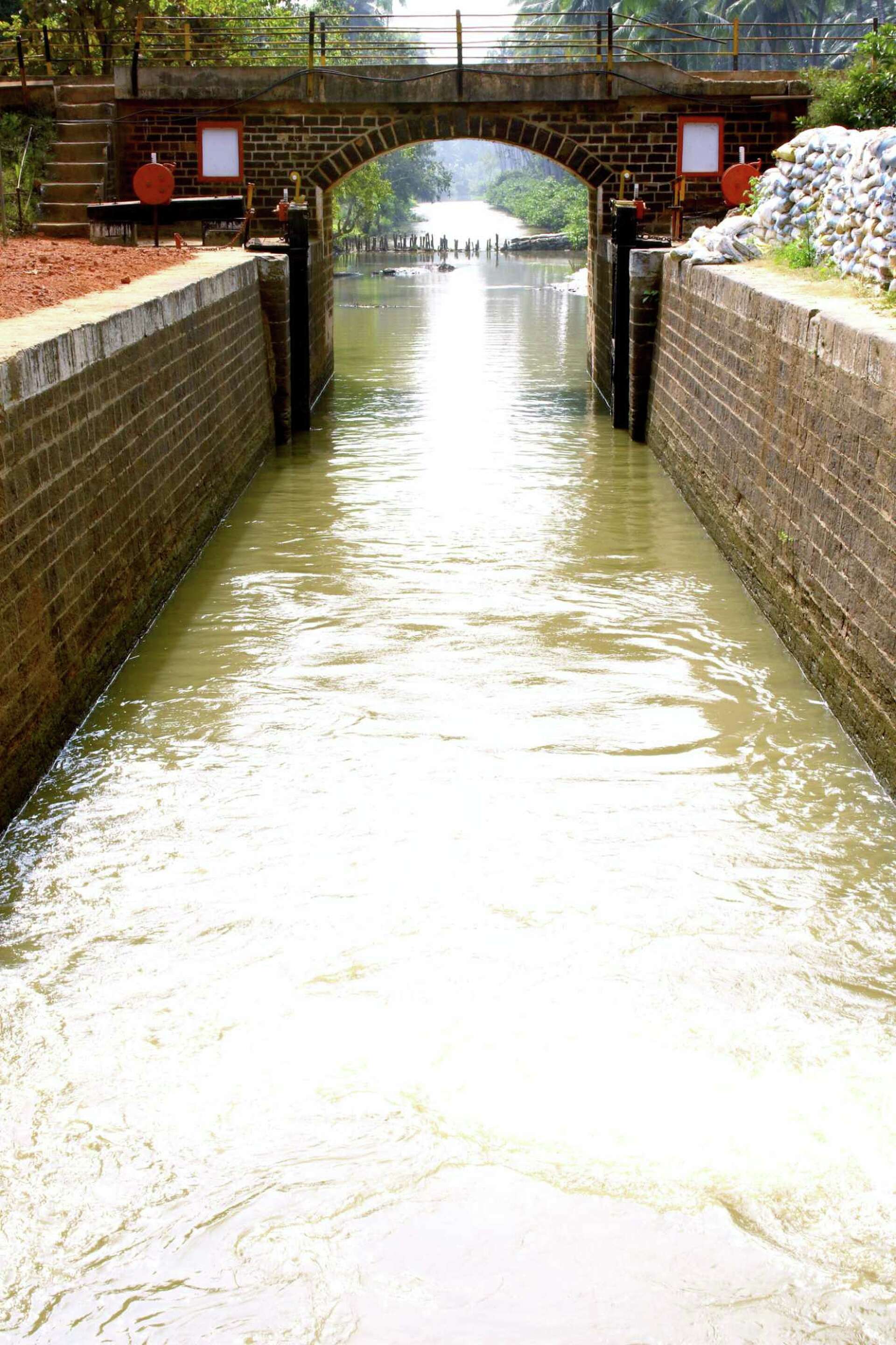 How to Build a Rill Water Garden