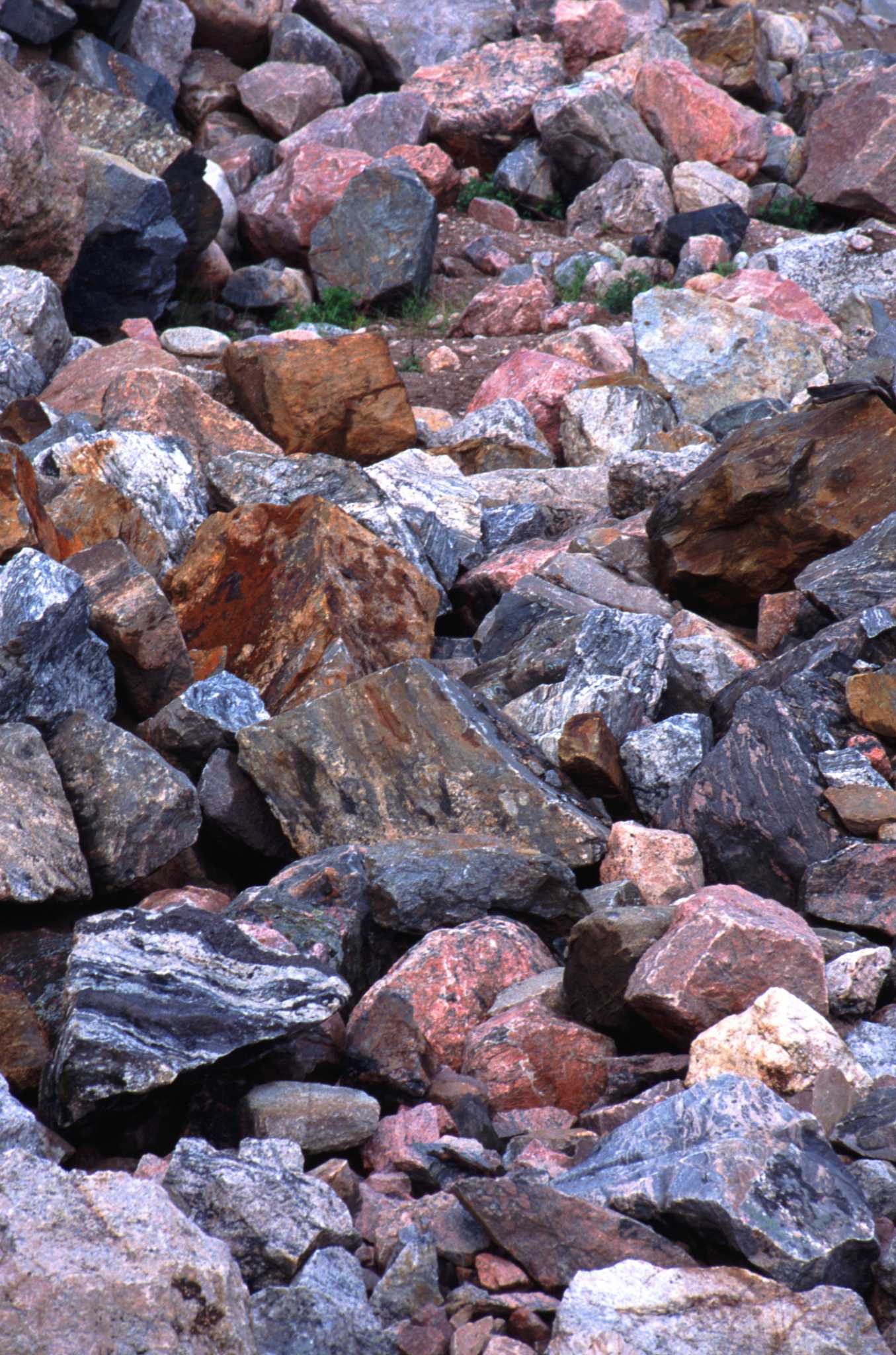 How to Build Rock Planters With Native Rocks