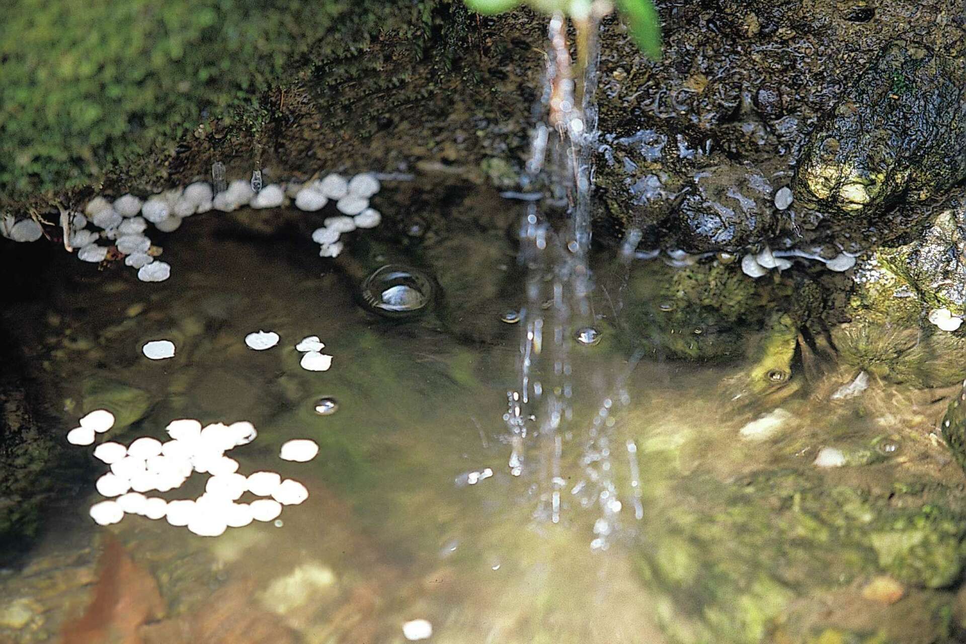 How to Build a Small Waterfall Using a Waterfall Box
