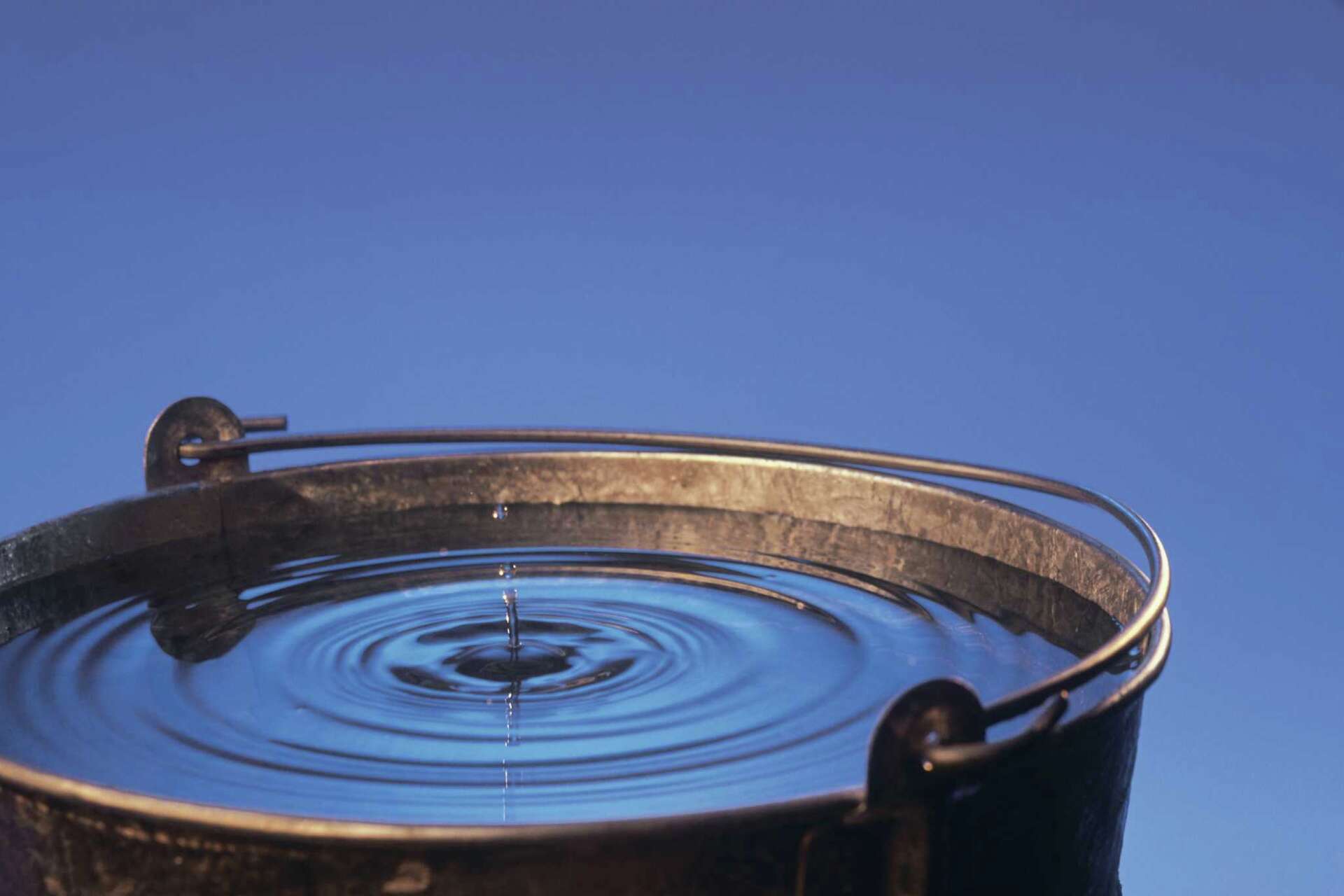 The Best Ways to Drench Soil