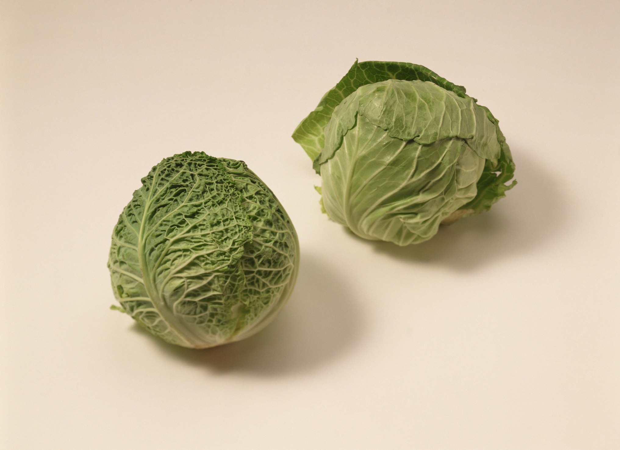 Cabbage Sprouts After Harvest