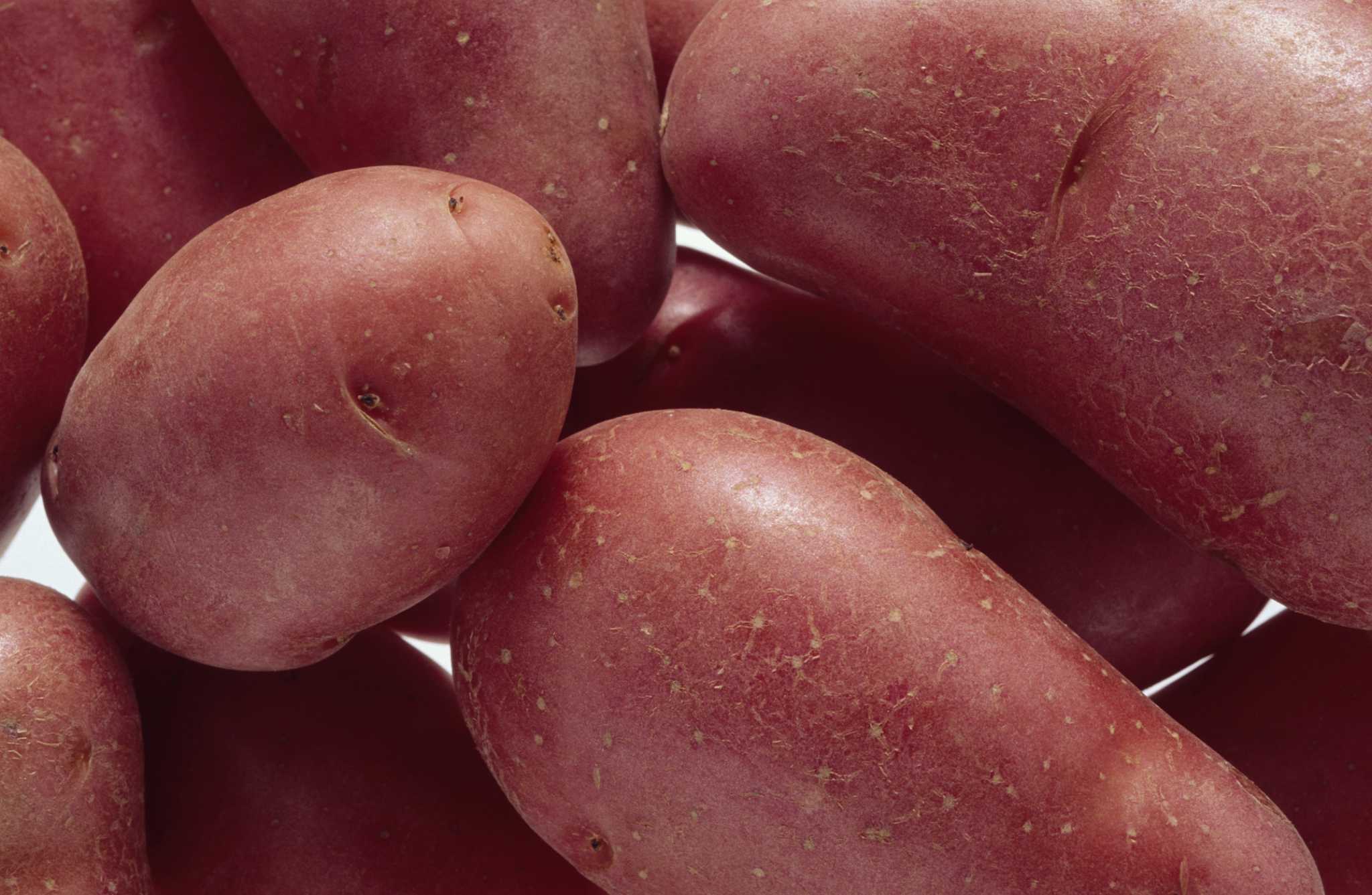 Does a Freeze Damage Seed Potatoes?