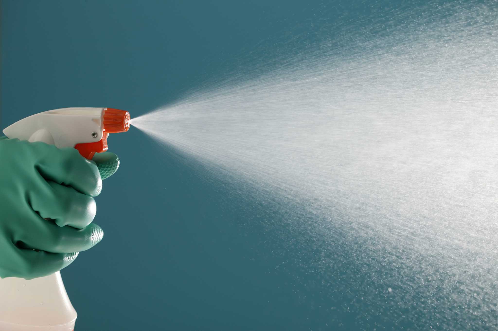 Misting for Rooting Plants