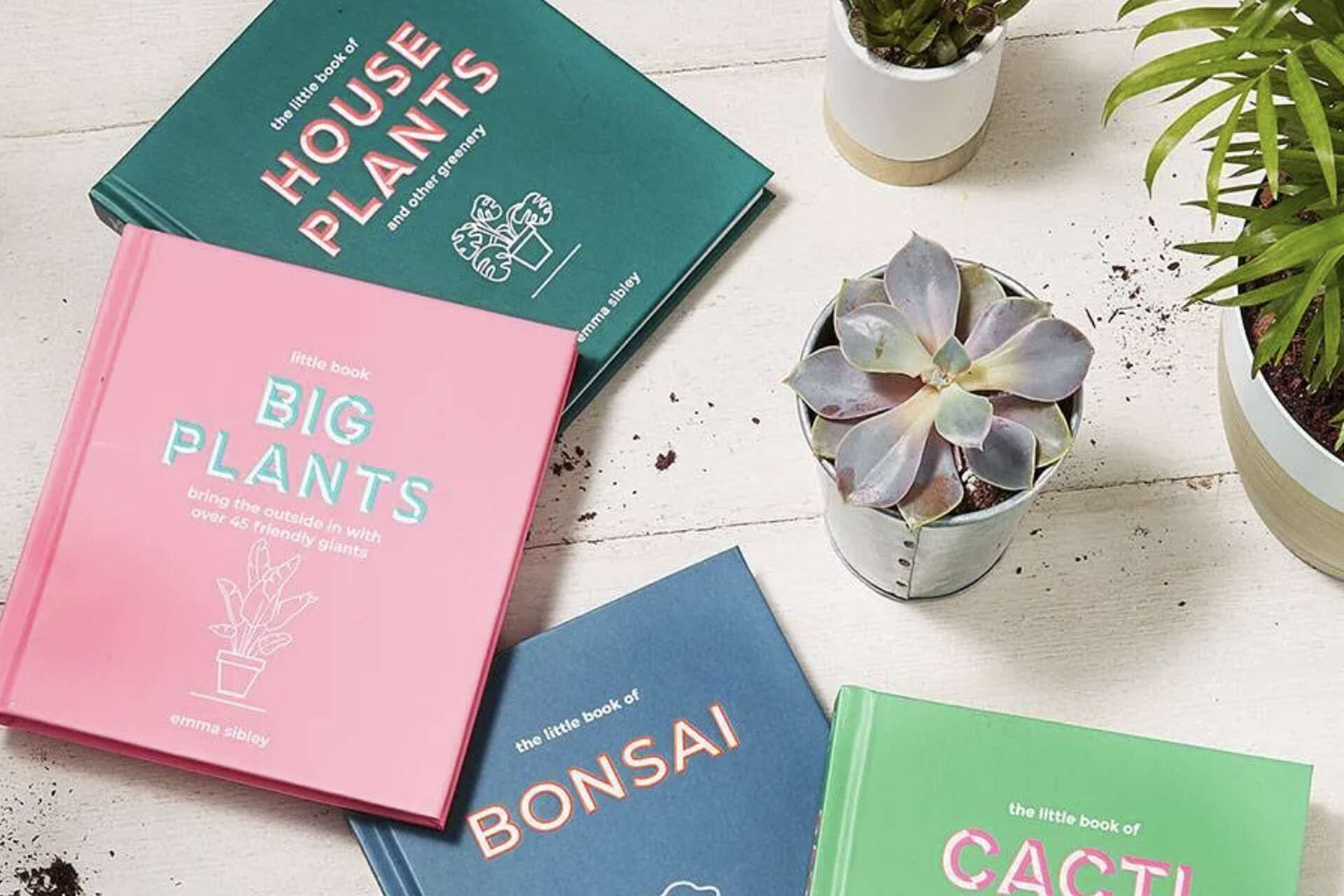 17 gardening gifts for the plant-lovers in your life