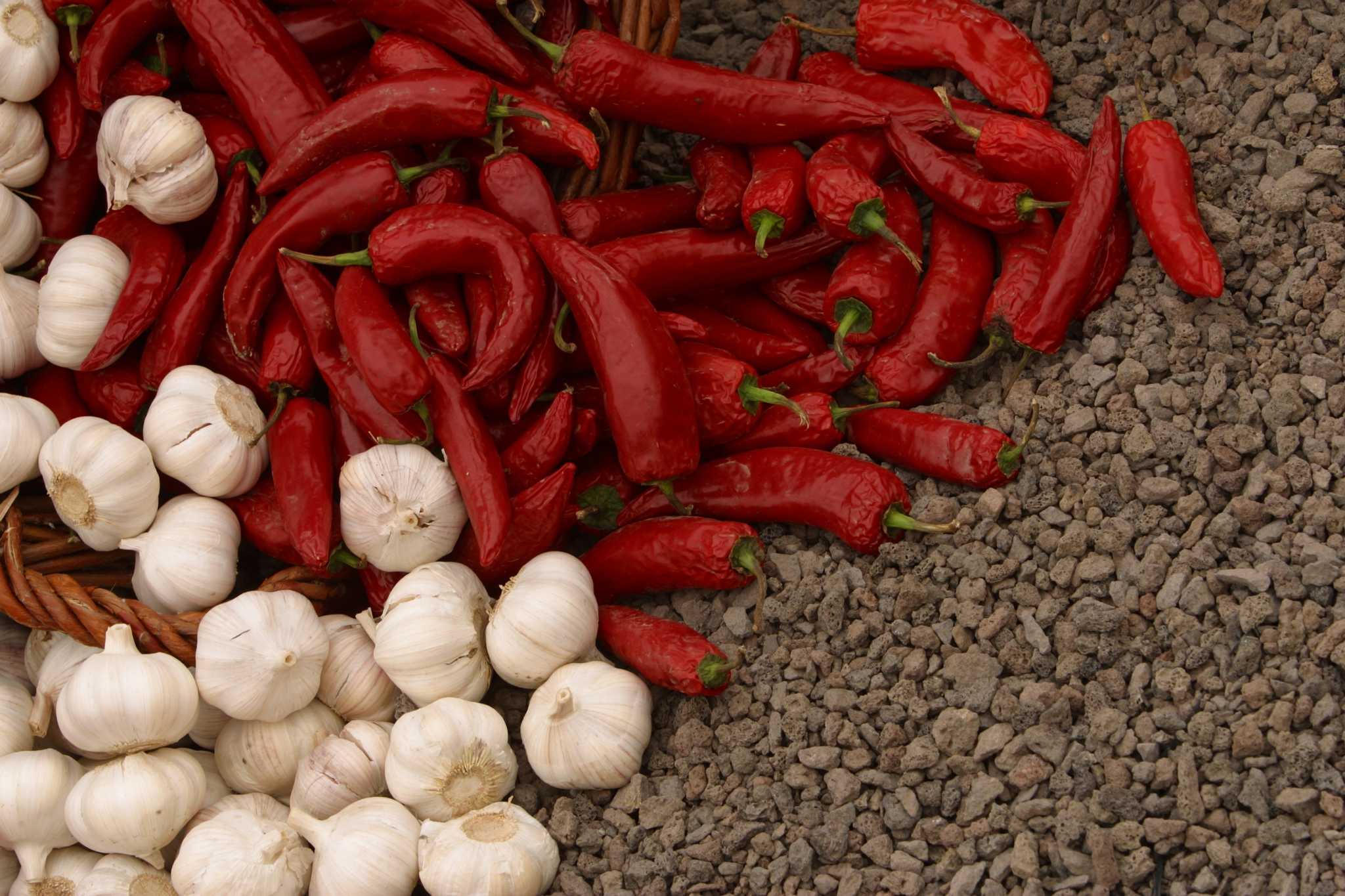 Garlic Pepper Tea as an Insect Repellent