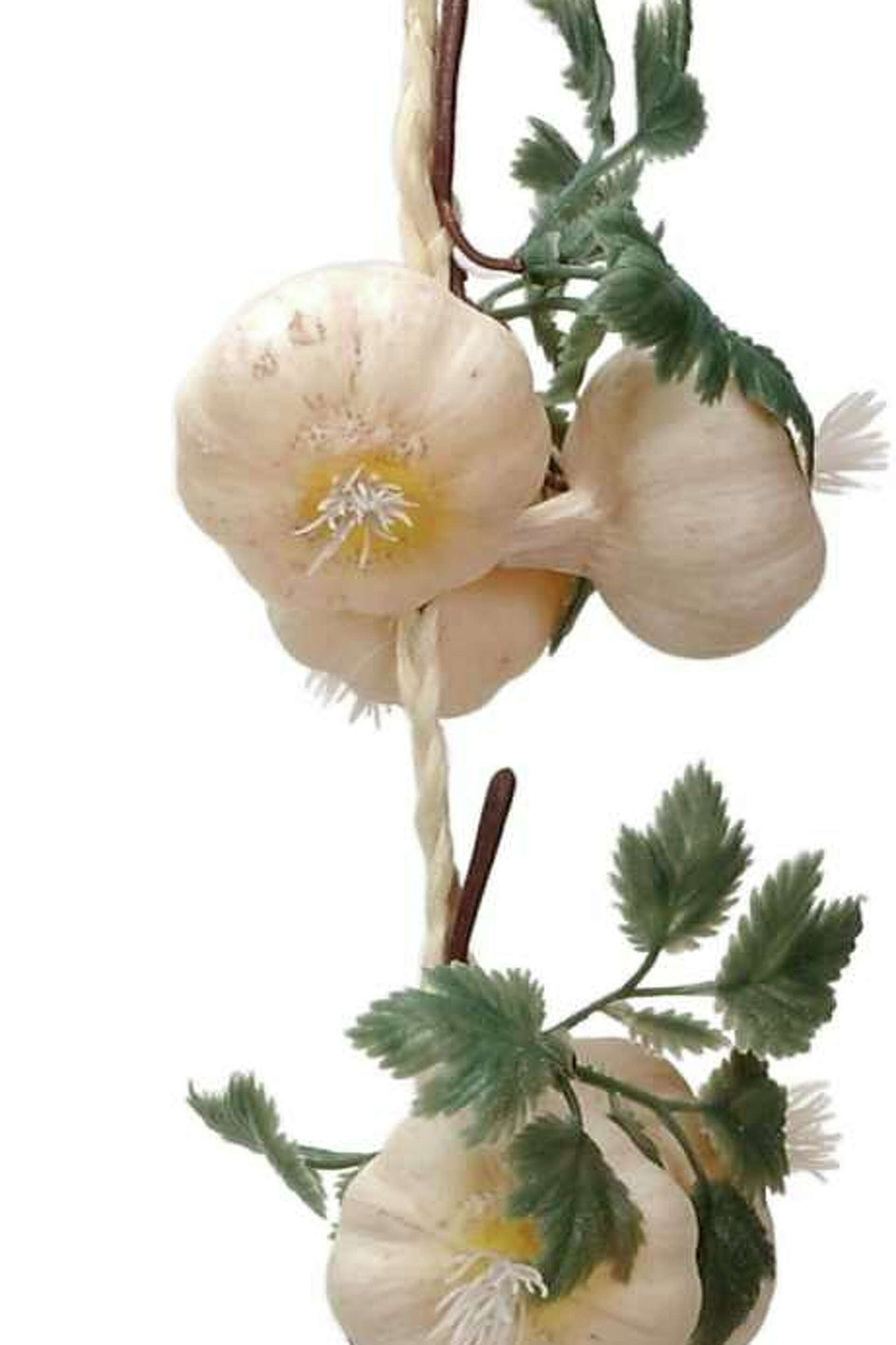 Garlic Planting Devices