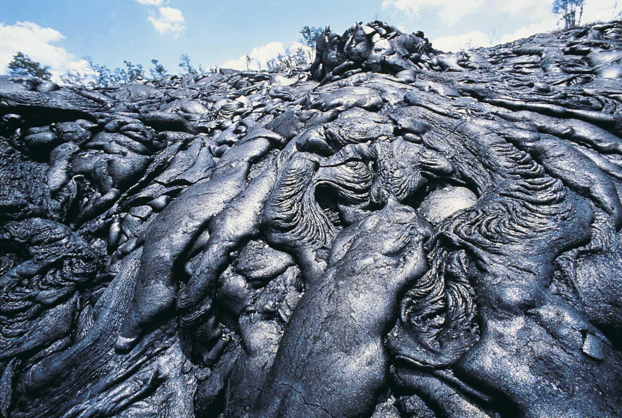 Can You Grow Edible Herbs in Lava Rock?