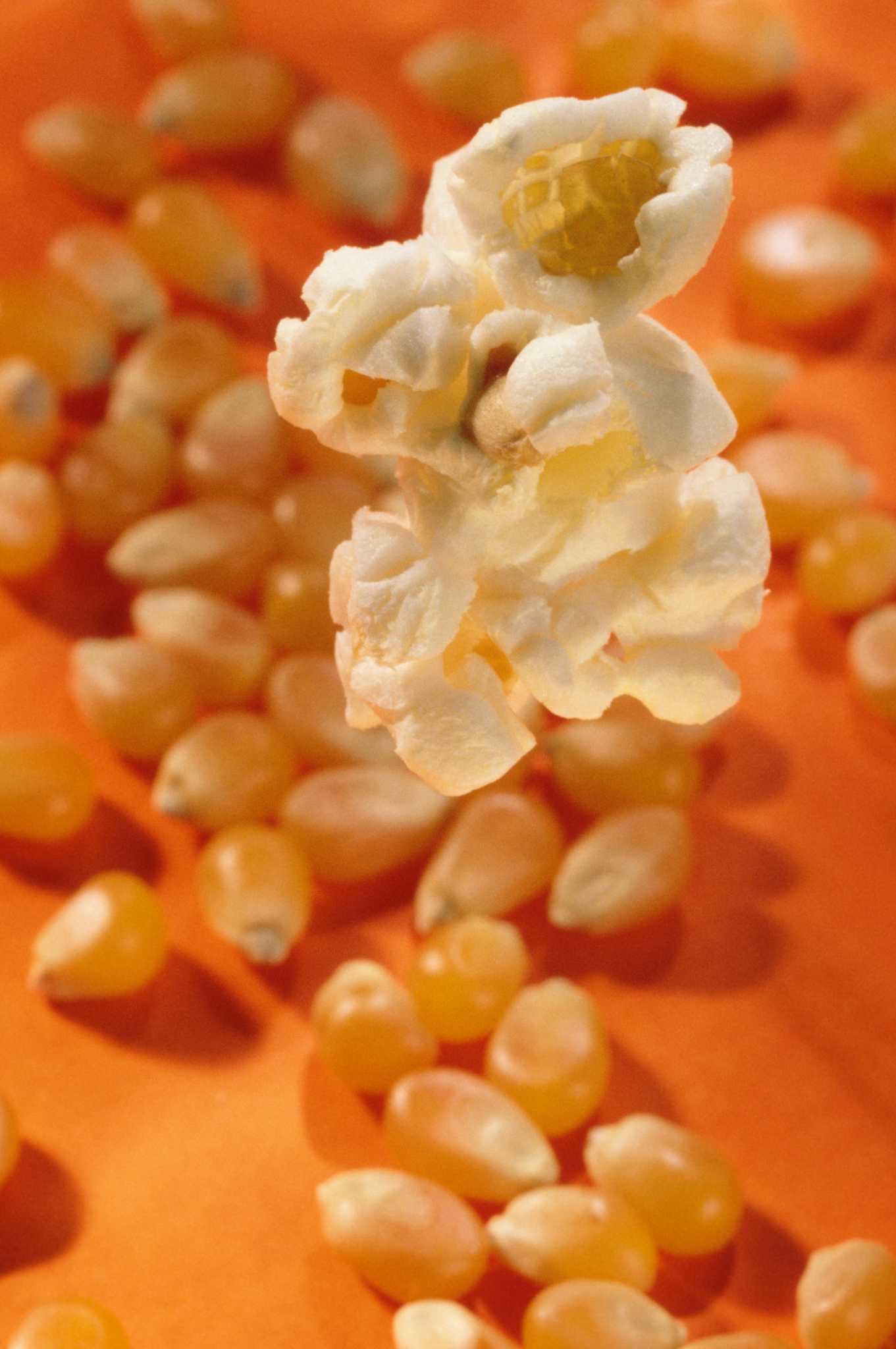 How to Grow Popcorn From Bags of Seeds From the Grocery Store