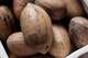 How to Germinate Hickory Nuts