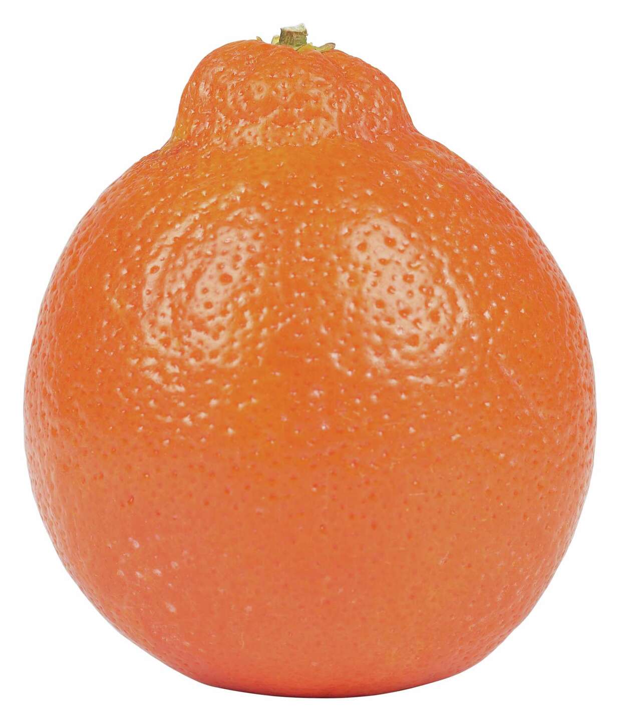 How to Germinate Minneola Tangelo Seeds