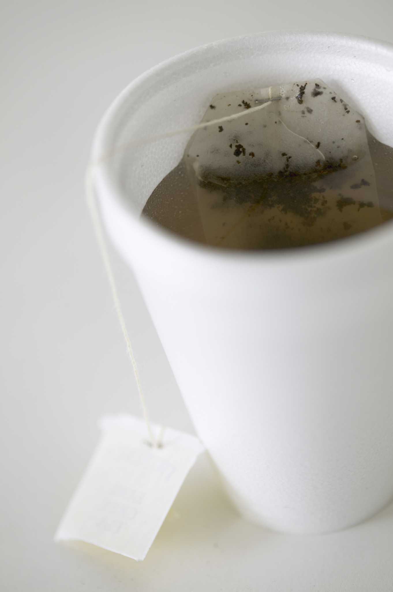 How to Germinate Seeds With a Styrofoam Cup