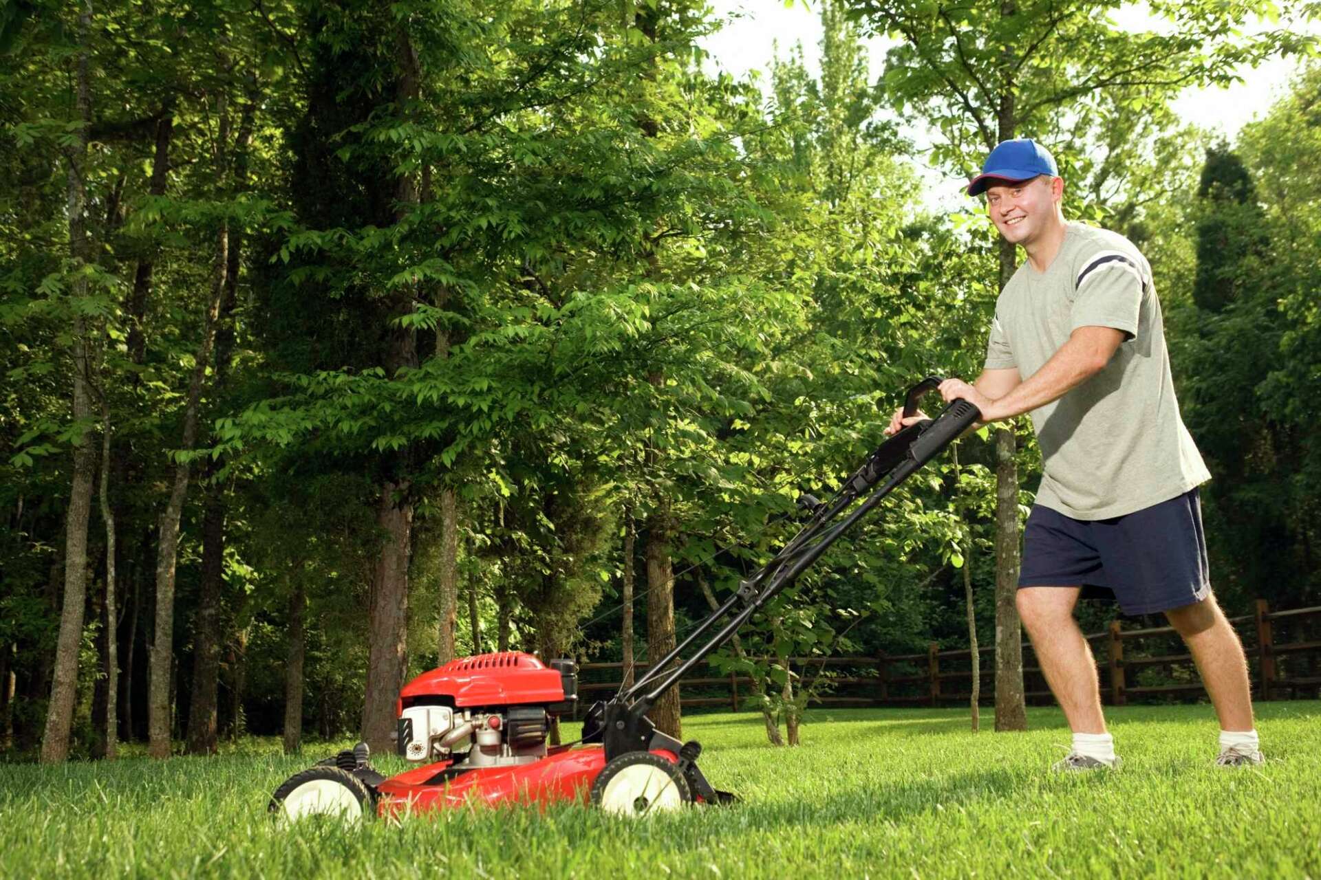 How to Mow Around a Tree