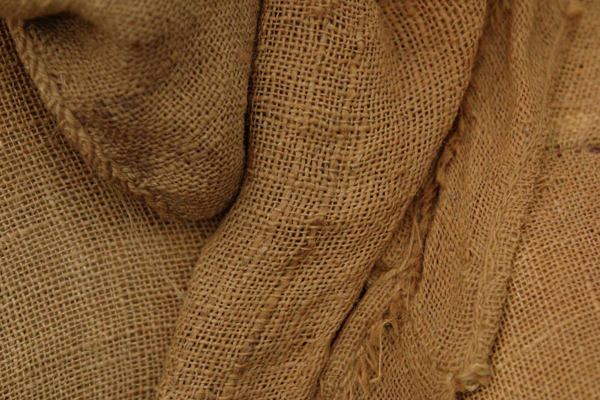 How to Wrap Plants in Burlap to Create Windscreens