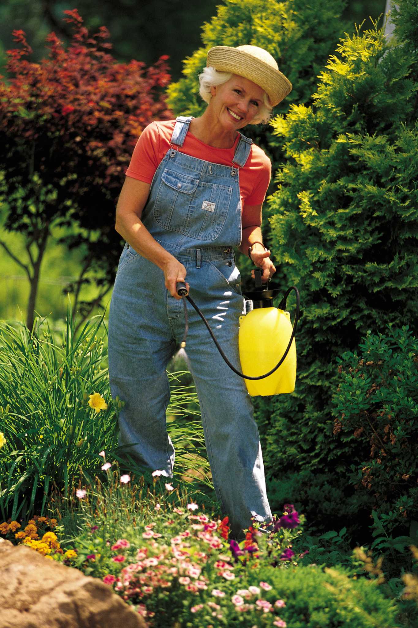 The Best Time of Day to Spray Shrubs