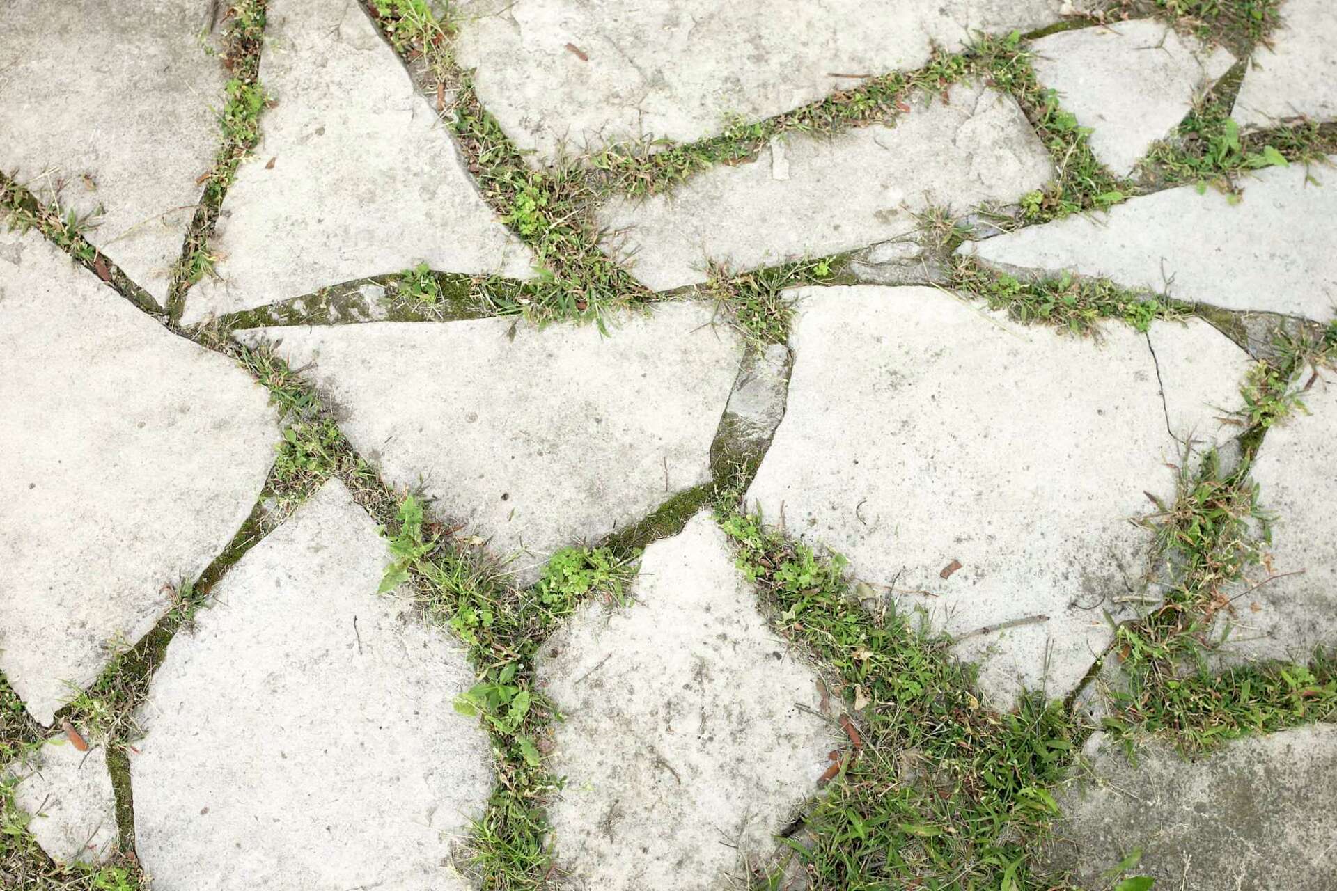 Instructions for Ortho GroundClear Concentrate