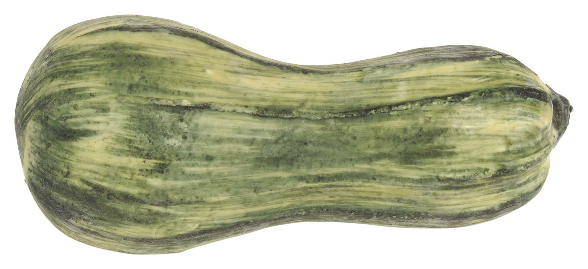 Gourd Pests