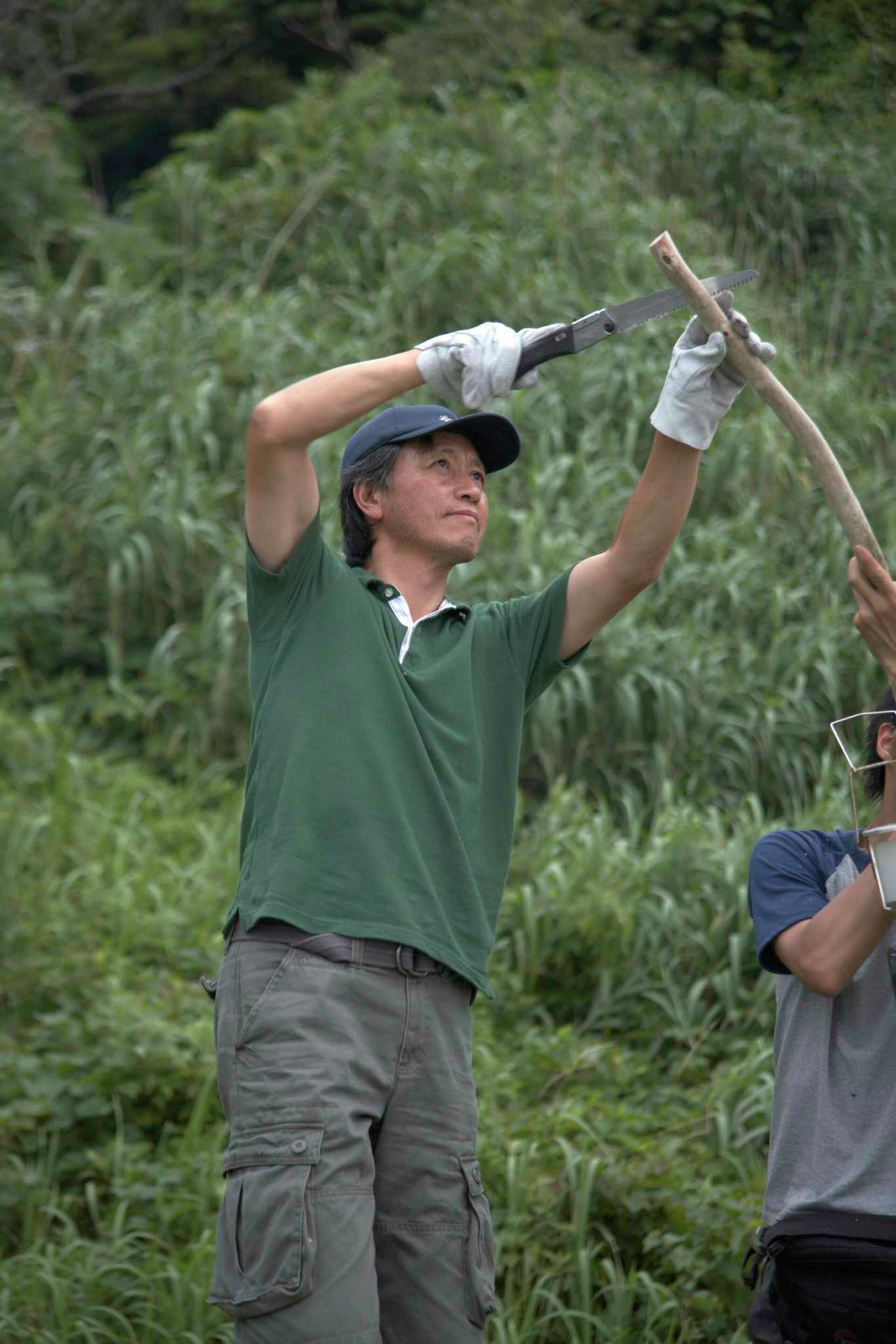 How to Graft a Crape Myrtle Tree