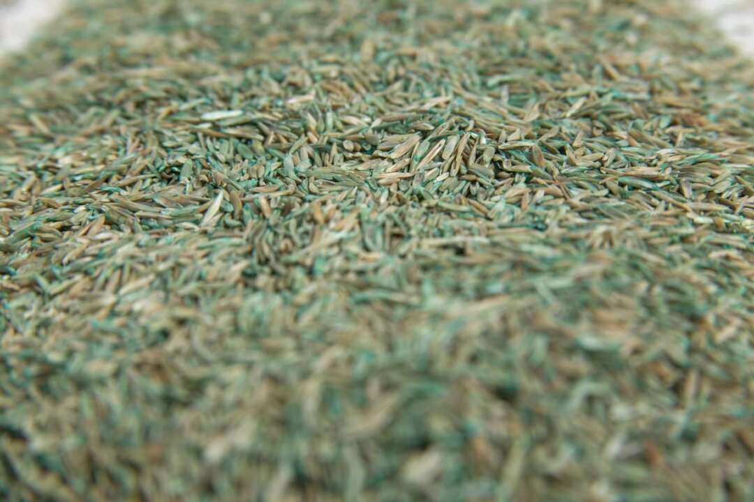 How to Overseed With a Slit Seeder