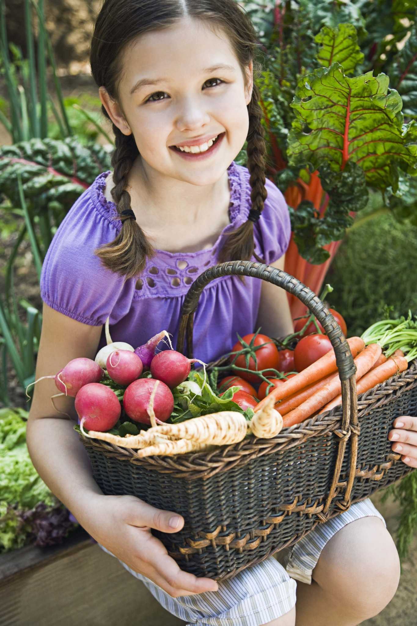 When to Pick Vegetables in the Morning