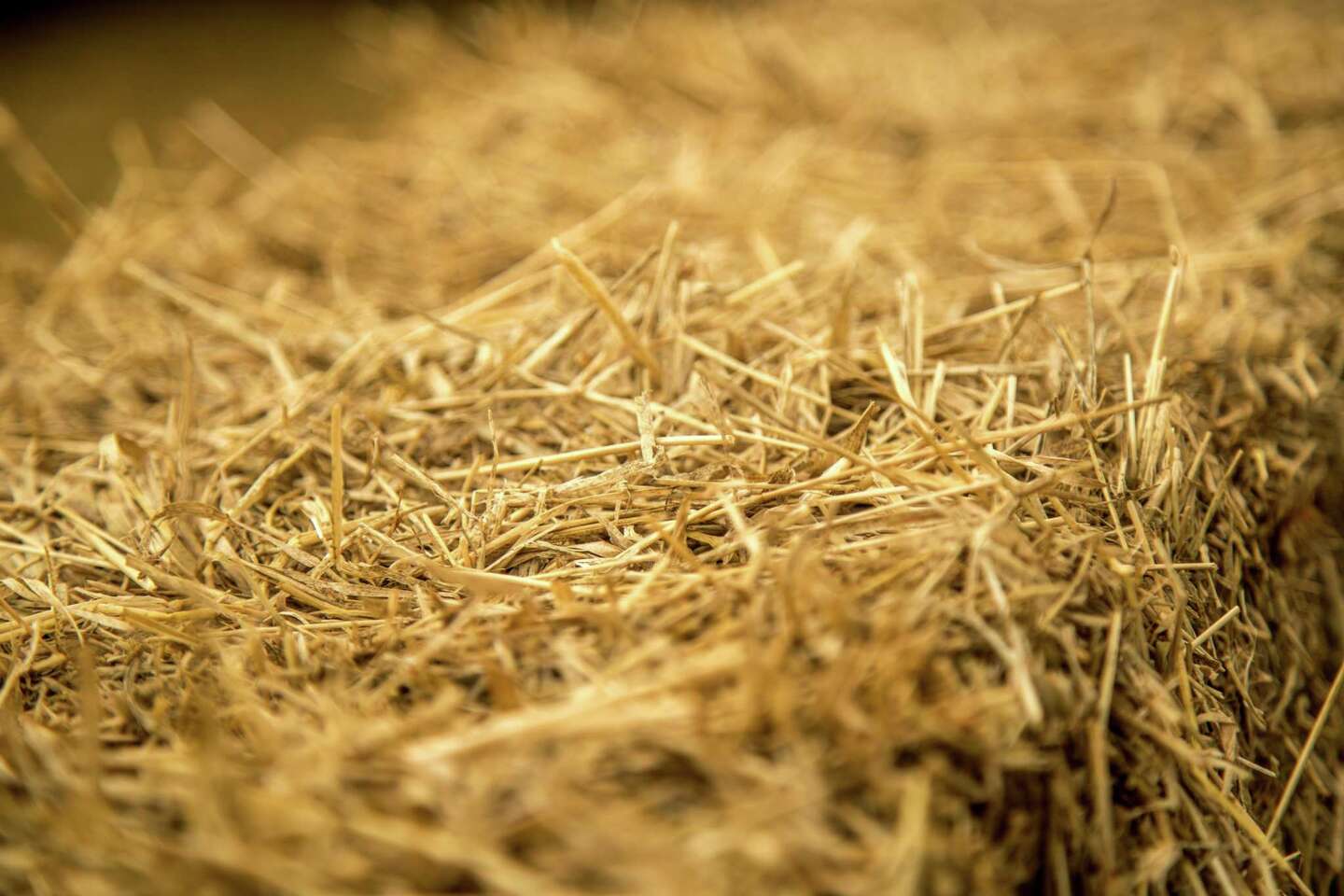 Does Grass Seed Need to Be Covered With Hay?