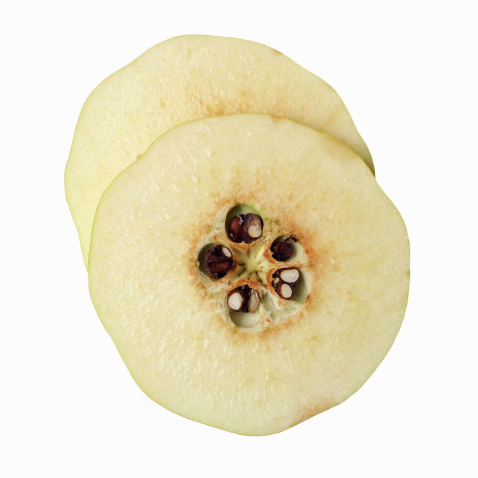 Quince Varieties