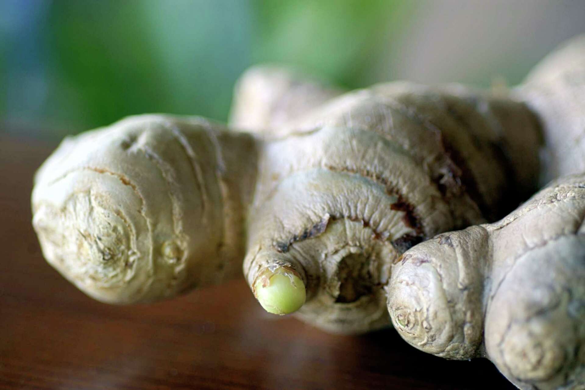 How to Grow Ginger Rhizomes