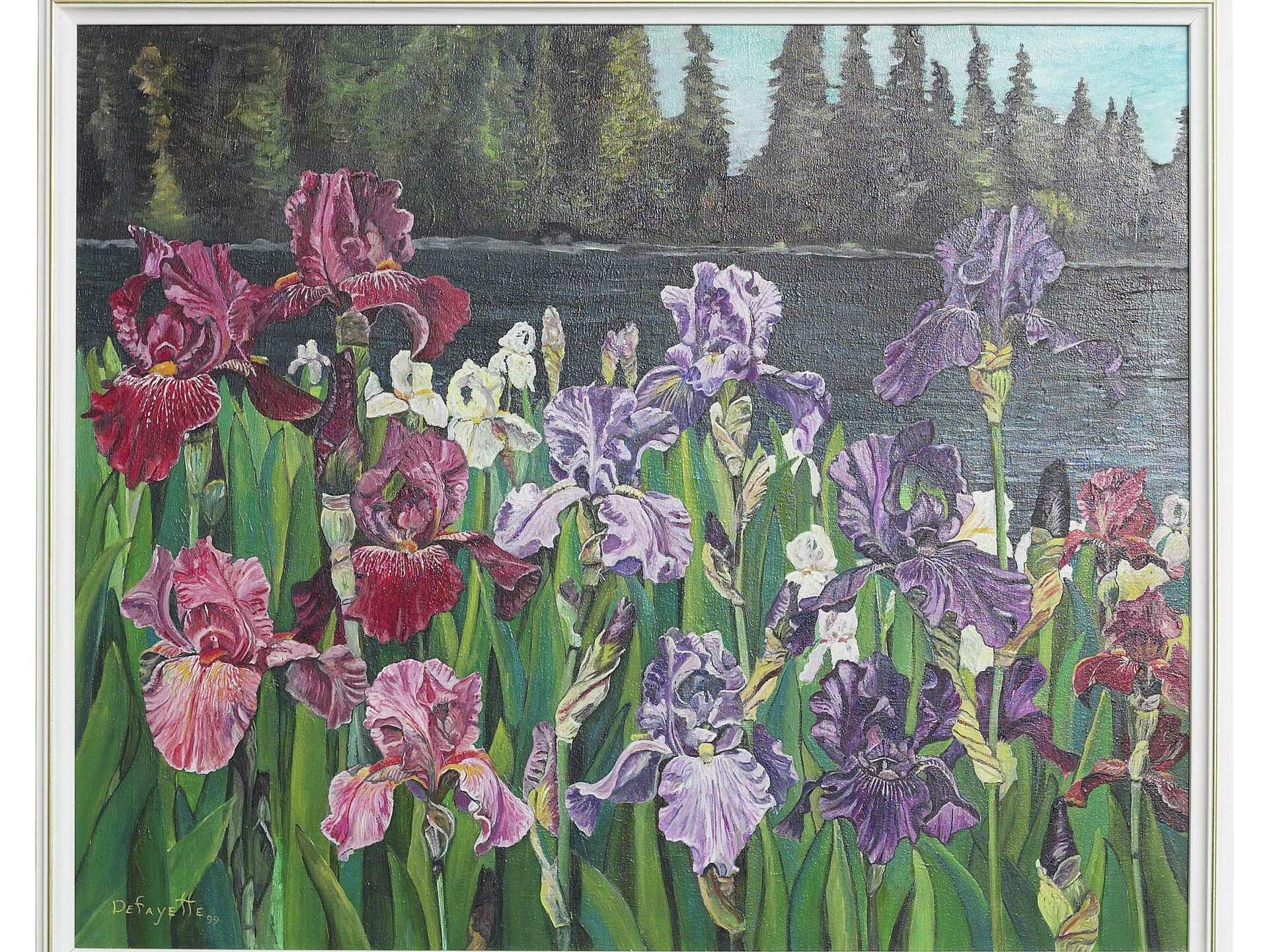 How to Grow a Bearded Iris in Zone 9