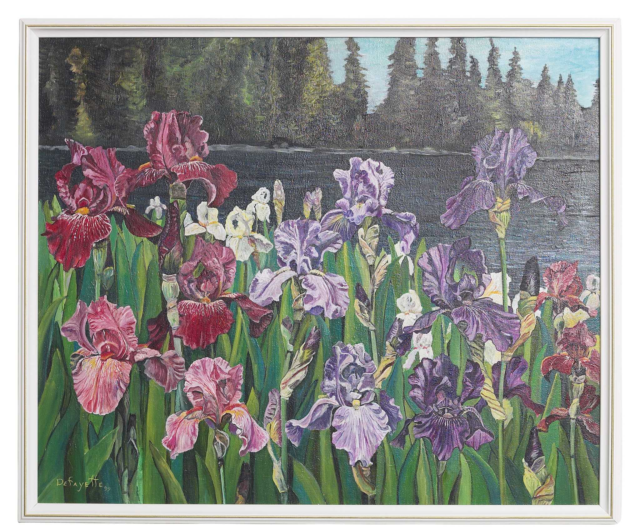 How to Grow a Bearded Iris in Zone 9