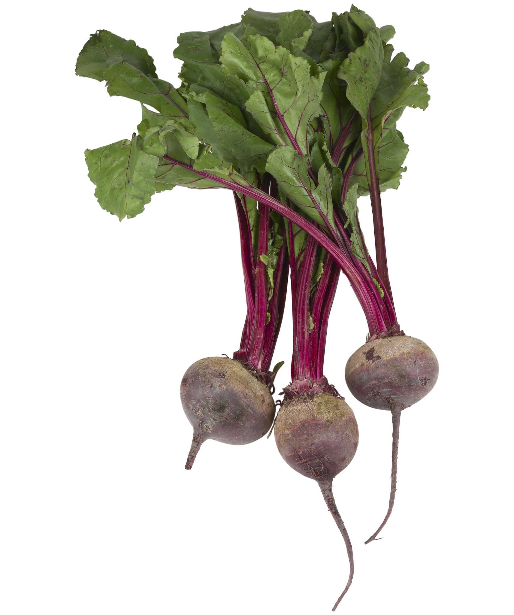 How to Grow Beets in a Pot